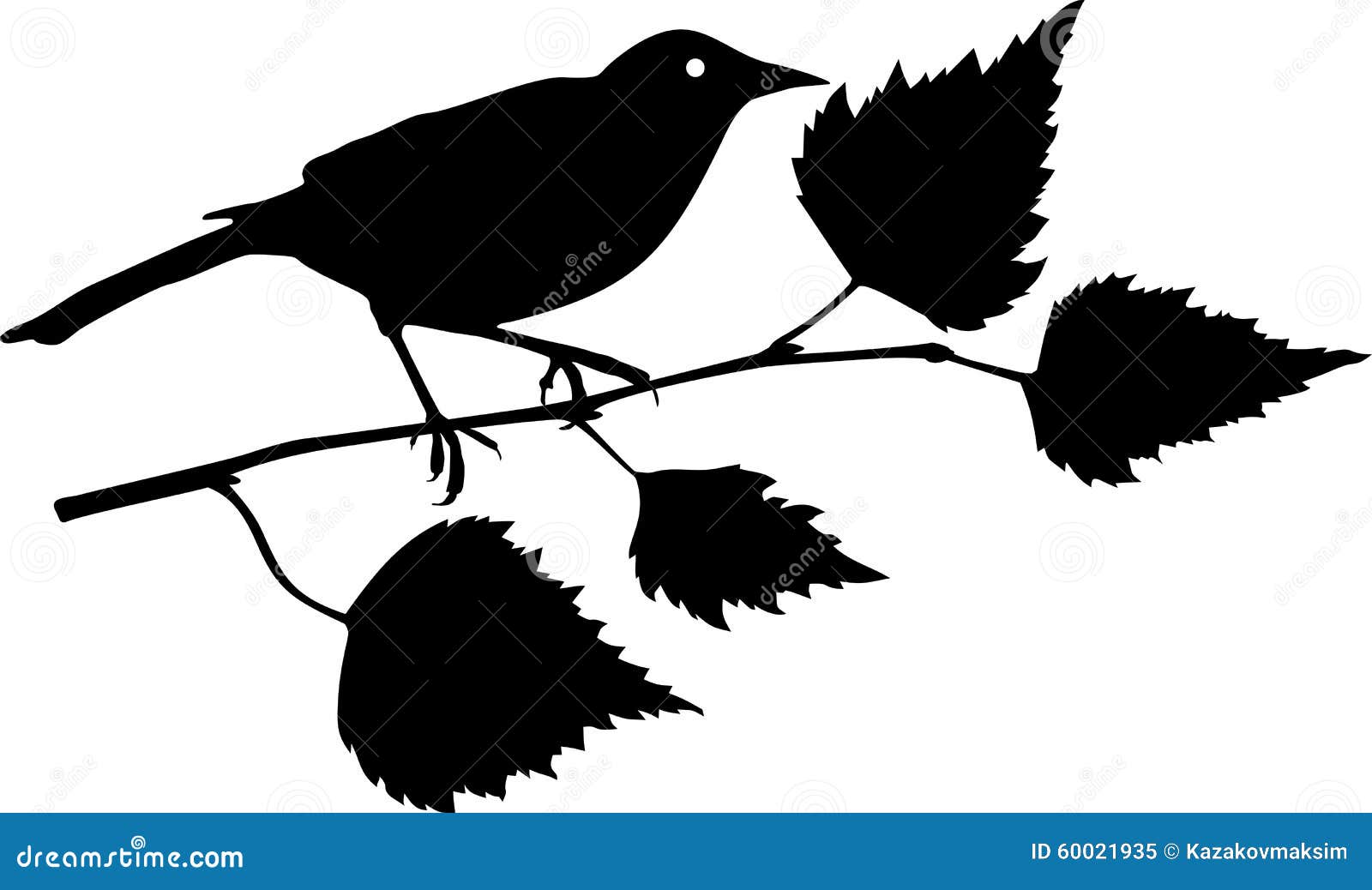 Bird sitting on branch stock vector. Illustration of freedom - 60021935