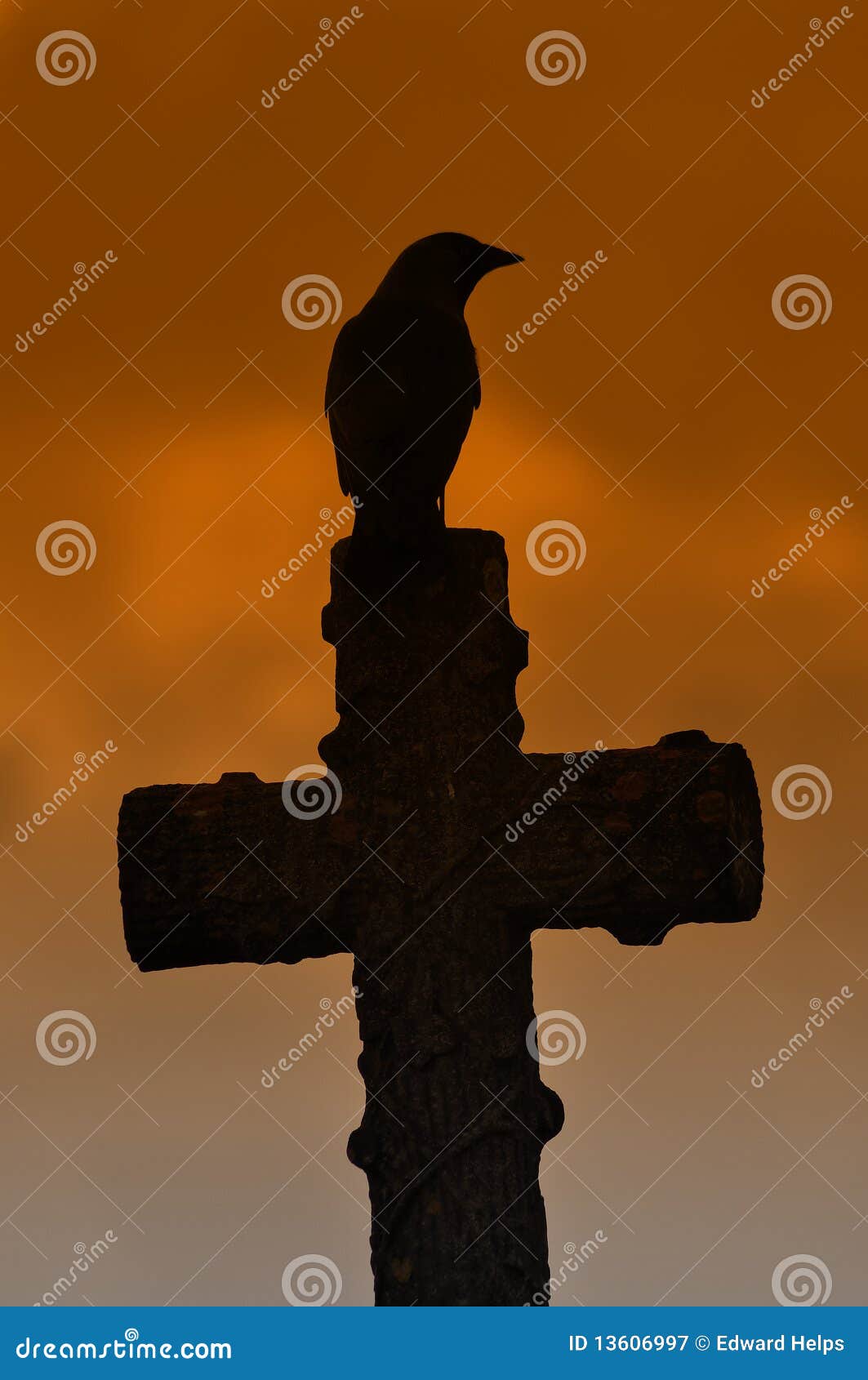 Bird sitting on a cross stock image. Image of fire, graveyard - 13606997