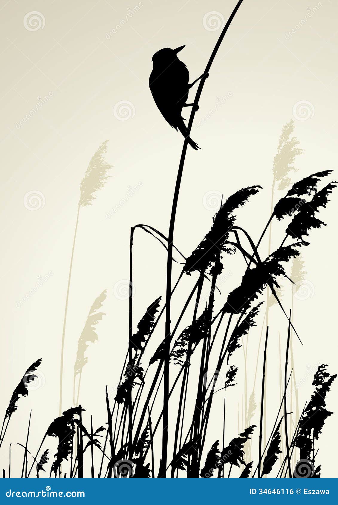A Bird Sitting on Reed, during the Summer Day Stock Vector ...