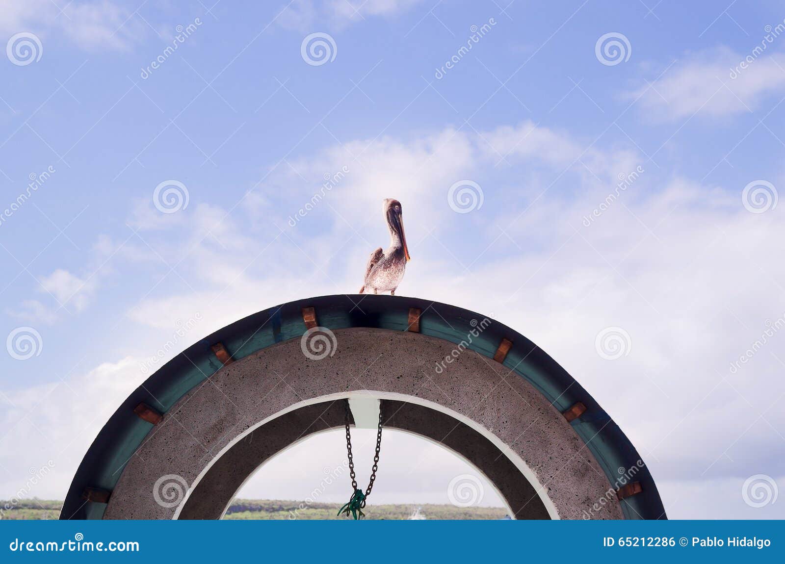 Bird Sitting on Top of Artistic Wheel Installation Stock Photo - Image ...