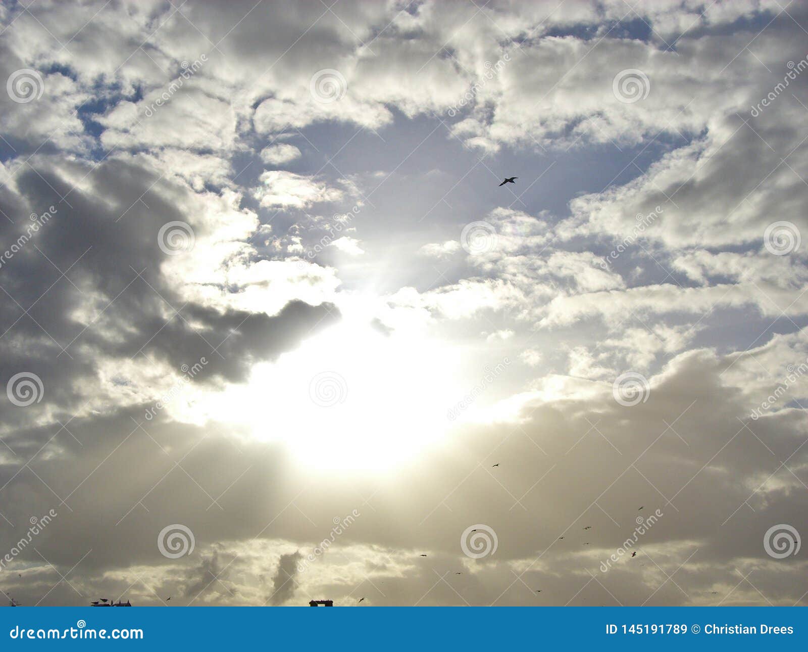 Dramatic Sky with Birds and Sun Stock Image - Image of clear, gull ...