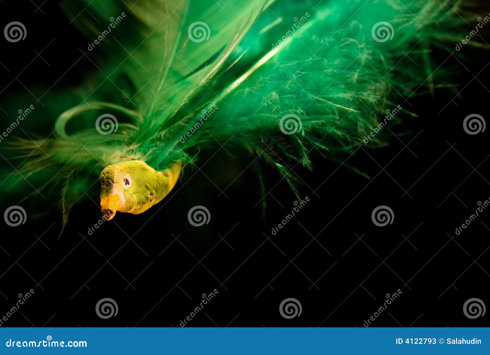 Bird soul heaven stock image. Image of peace, spiritual - 4122793
