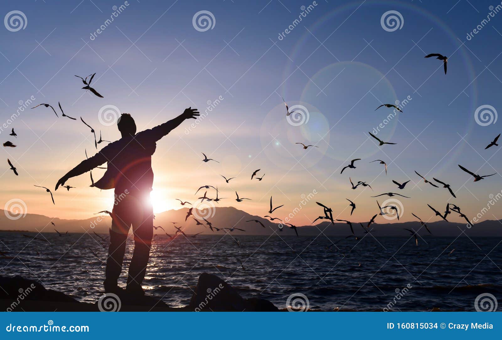 Bird Sounds, Waves, Relaxing and Motivating Nature Stock Photo - Image ...