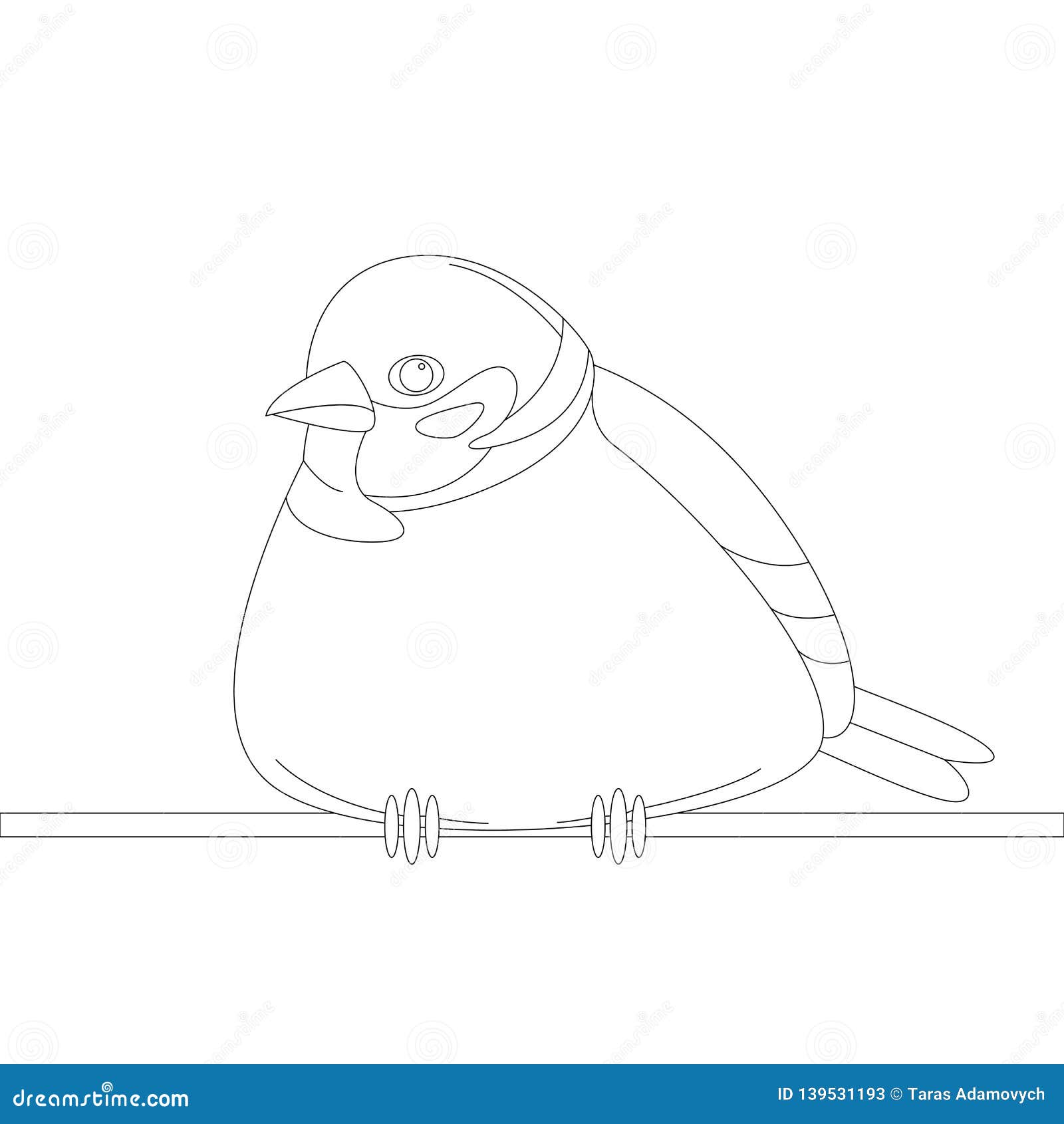 Bird Sparrow, Vector Illustration, Lining Draw, Stock Vector ...