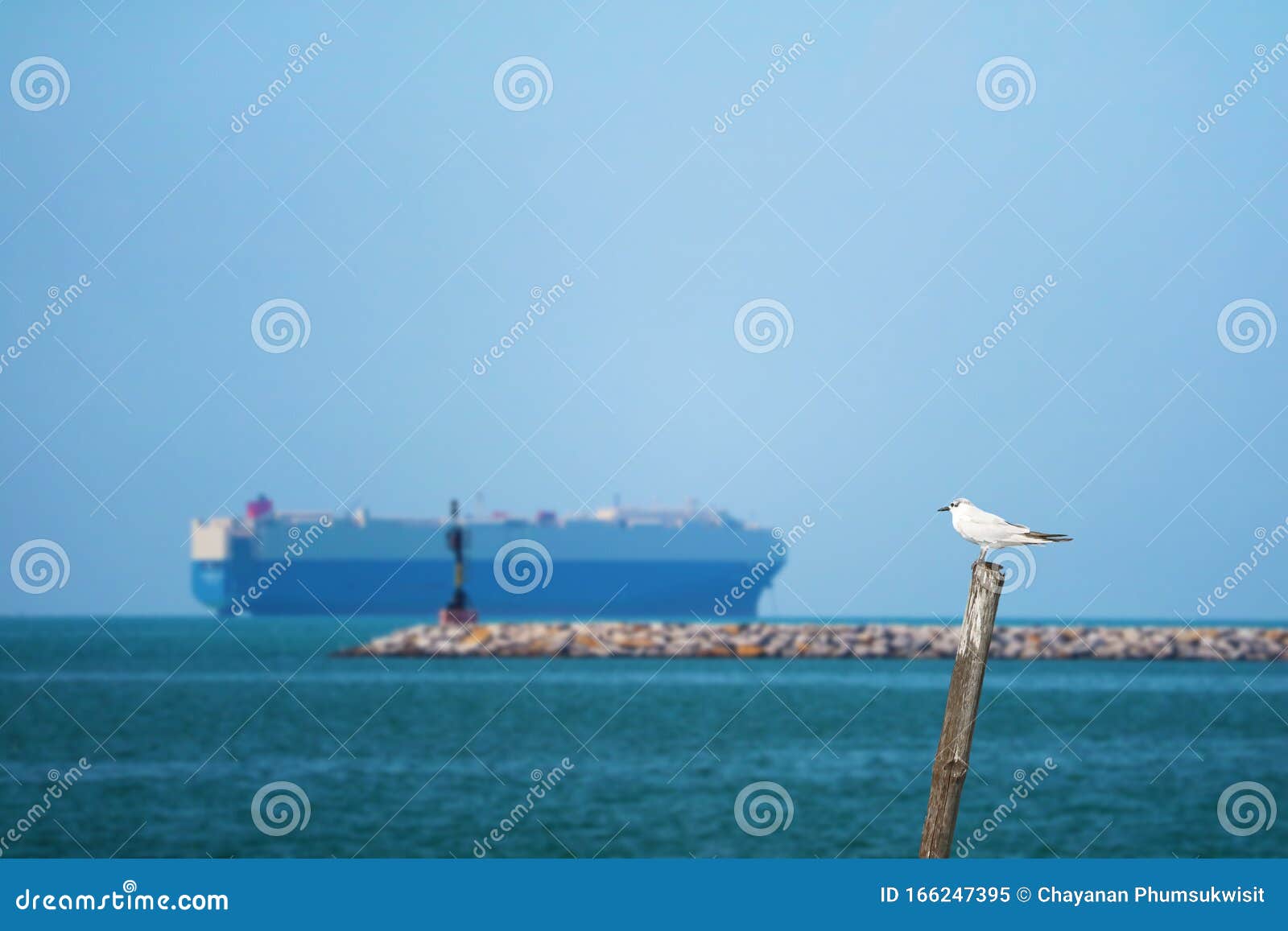 Bird Standing on Bamboo on Sea and Blur Cargo Ship Parking Stock Image ...