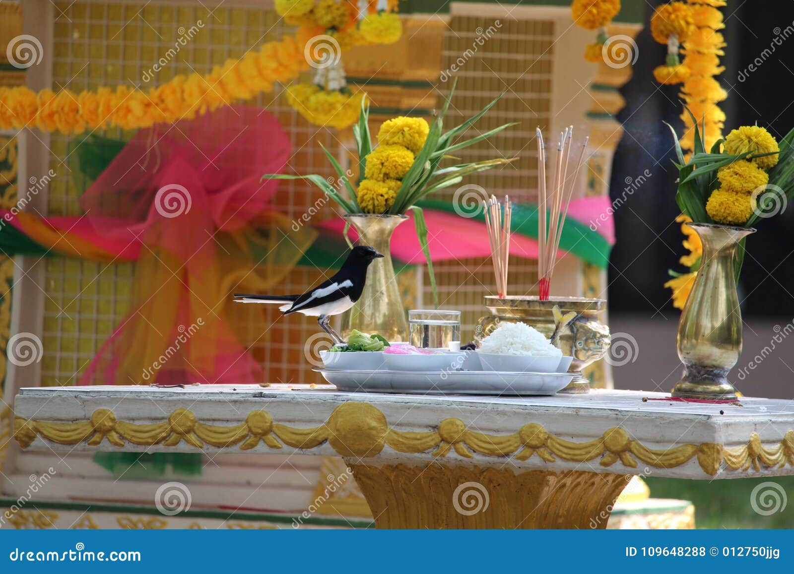 Magpie Robin at Buddhist Offering Stock Photo - Image of stealing, food ...