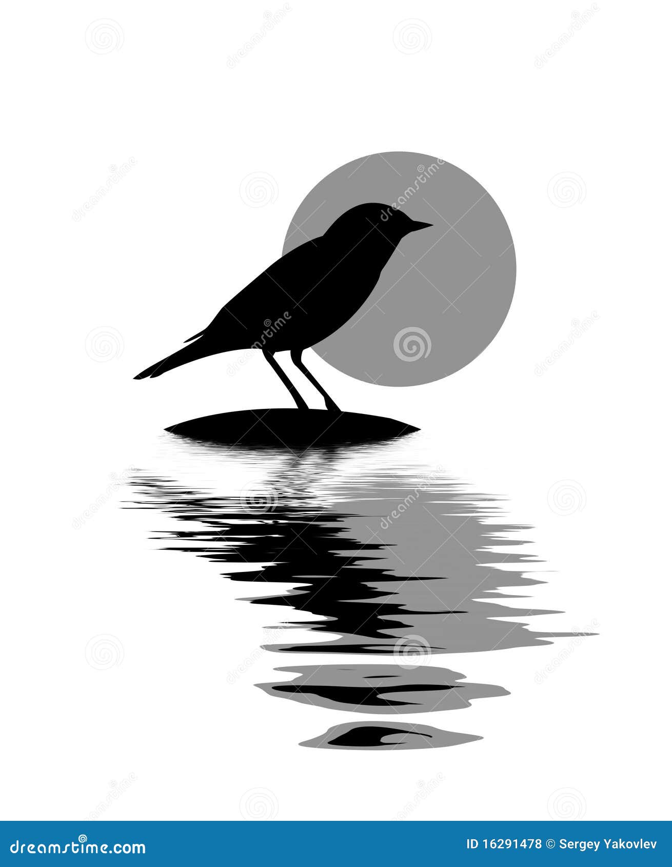 Bird on stone stock vector. Illustration of autumn, reflection - 16291478