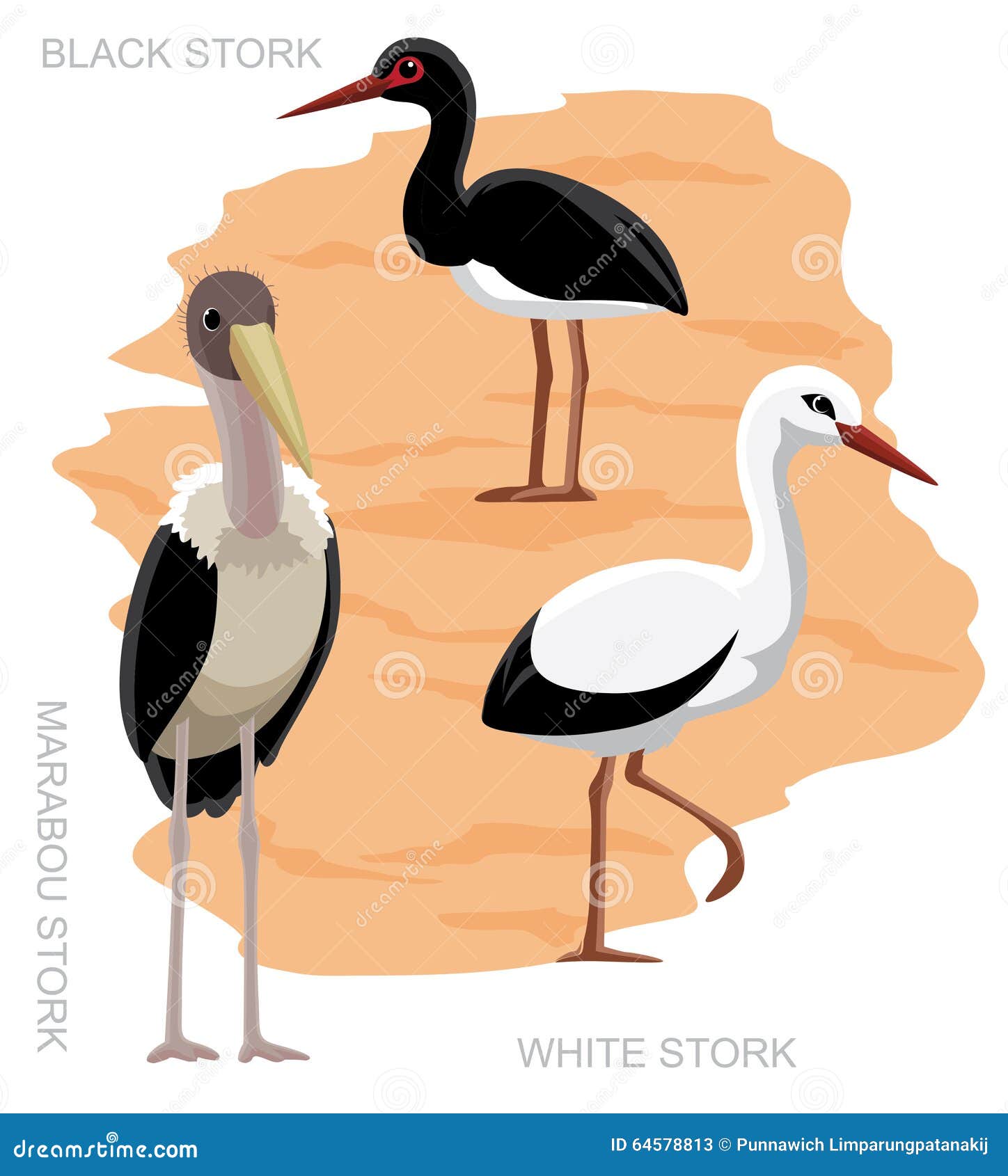 Bird Stork Set Cartoon stock vector. Illustration of vector - 64578813
