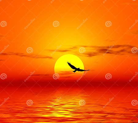 Bird and sun stock illustration. Illustration of heaven - 1084140