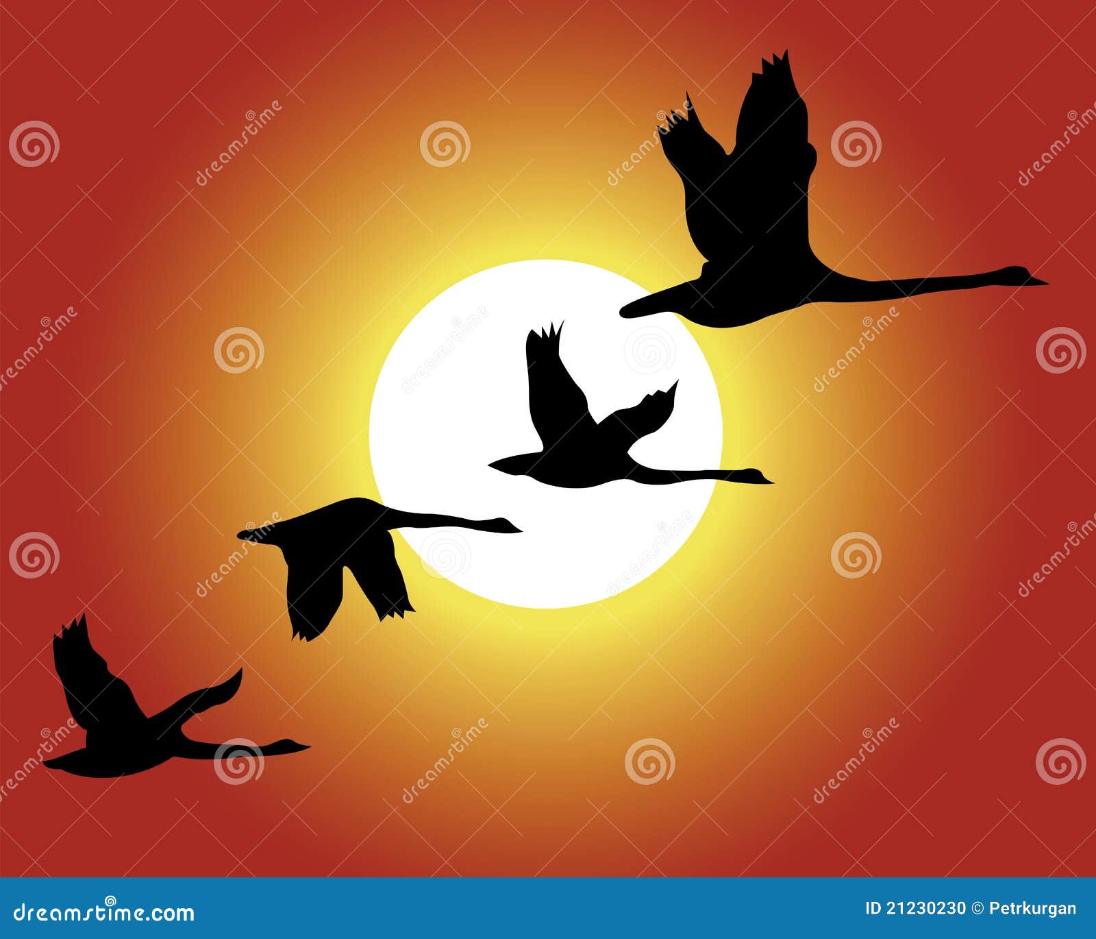 Bird and sunset stock vector. Illustration of black, animal - 21230230