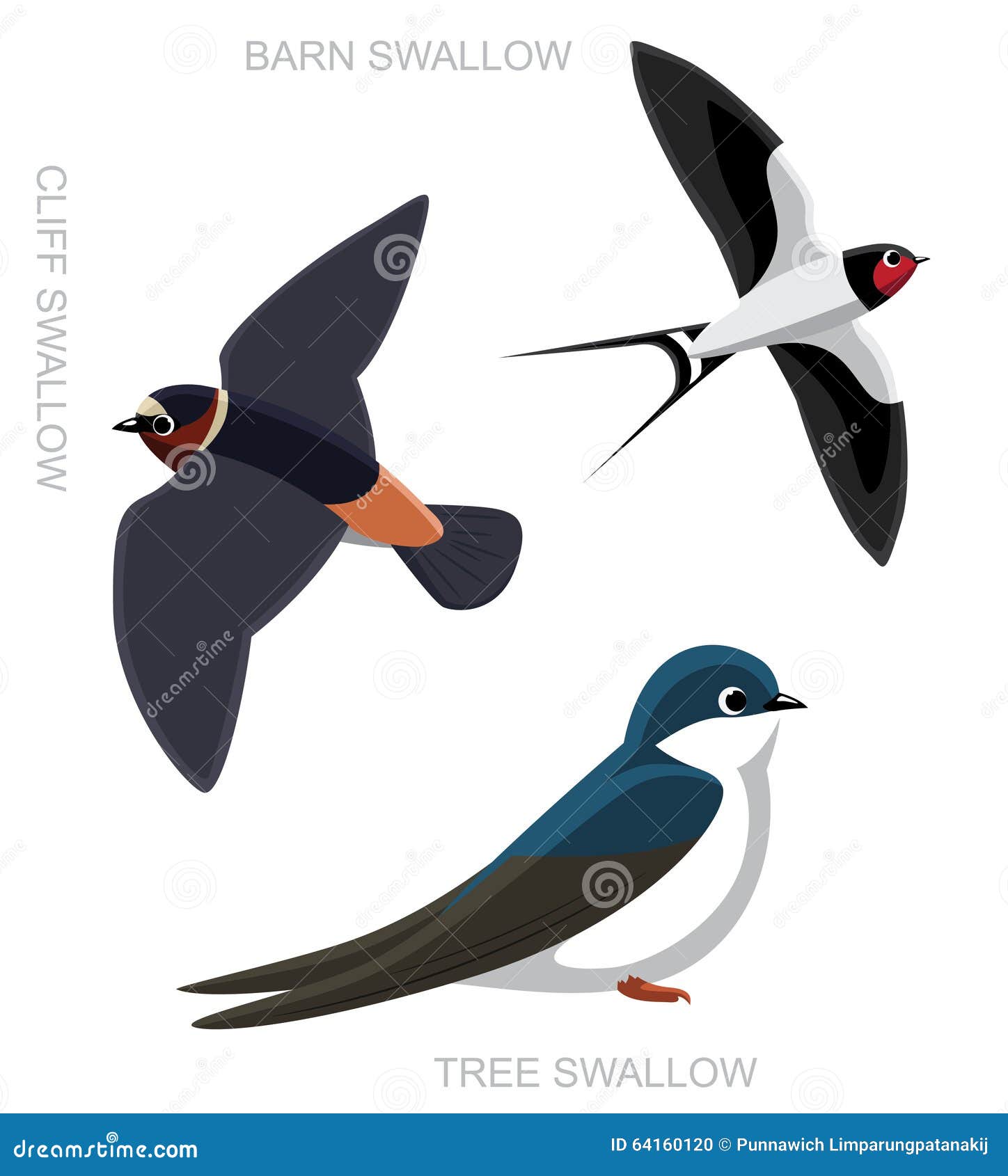 Bird Swallow Set Cartoon Vector Illustration Stock Vector ...