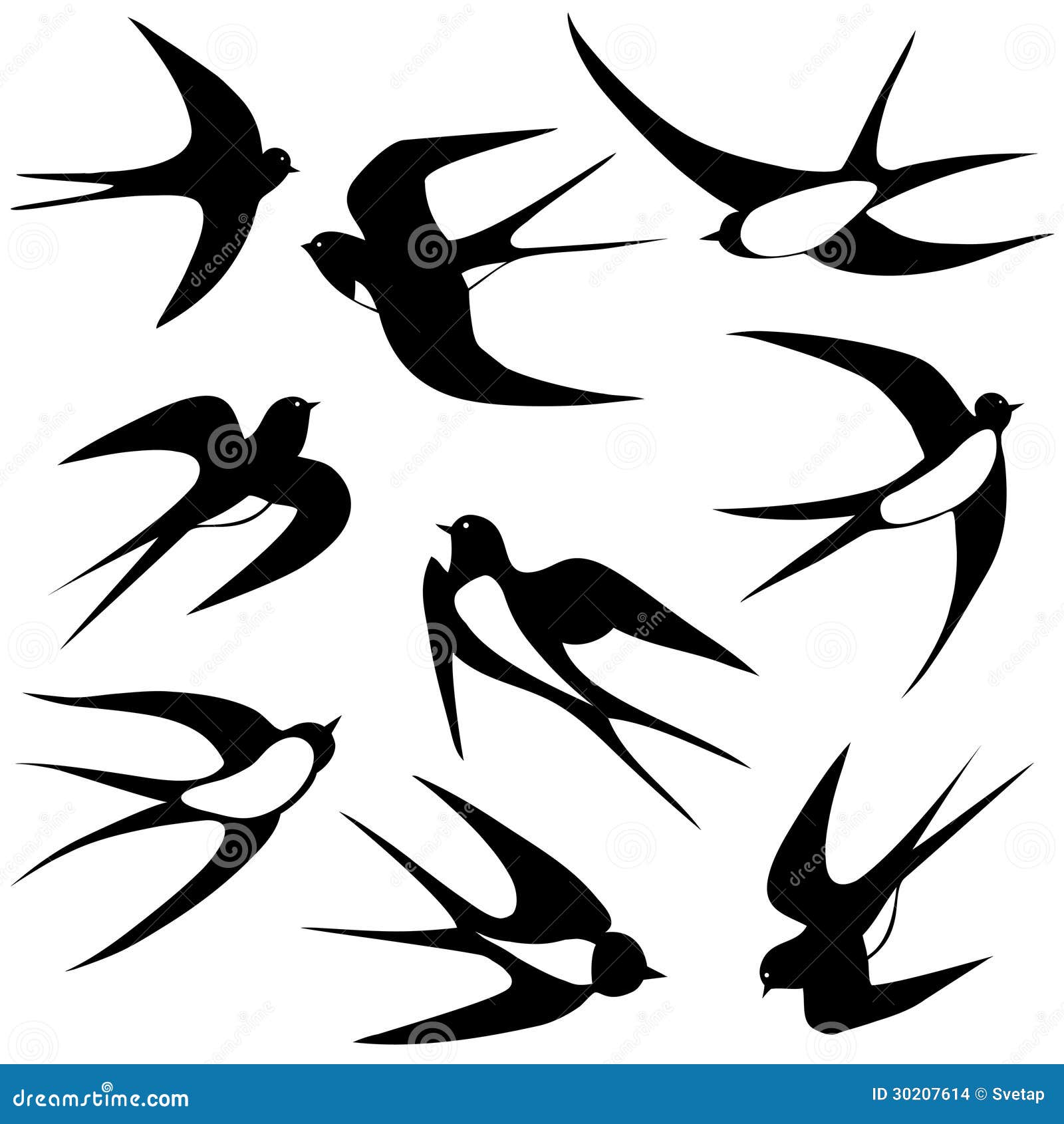 Bird swallow set. stock vector. Illustration of design - 30207614
