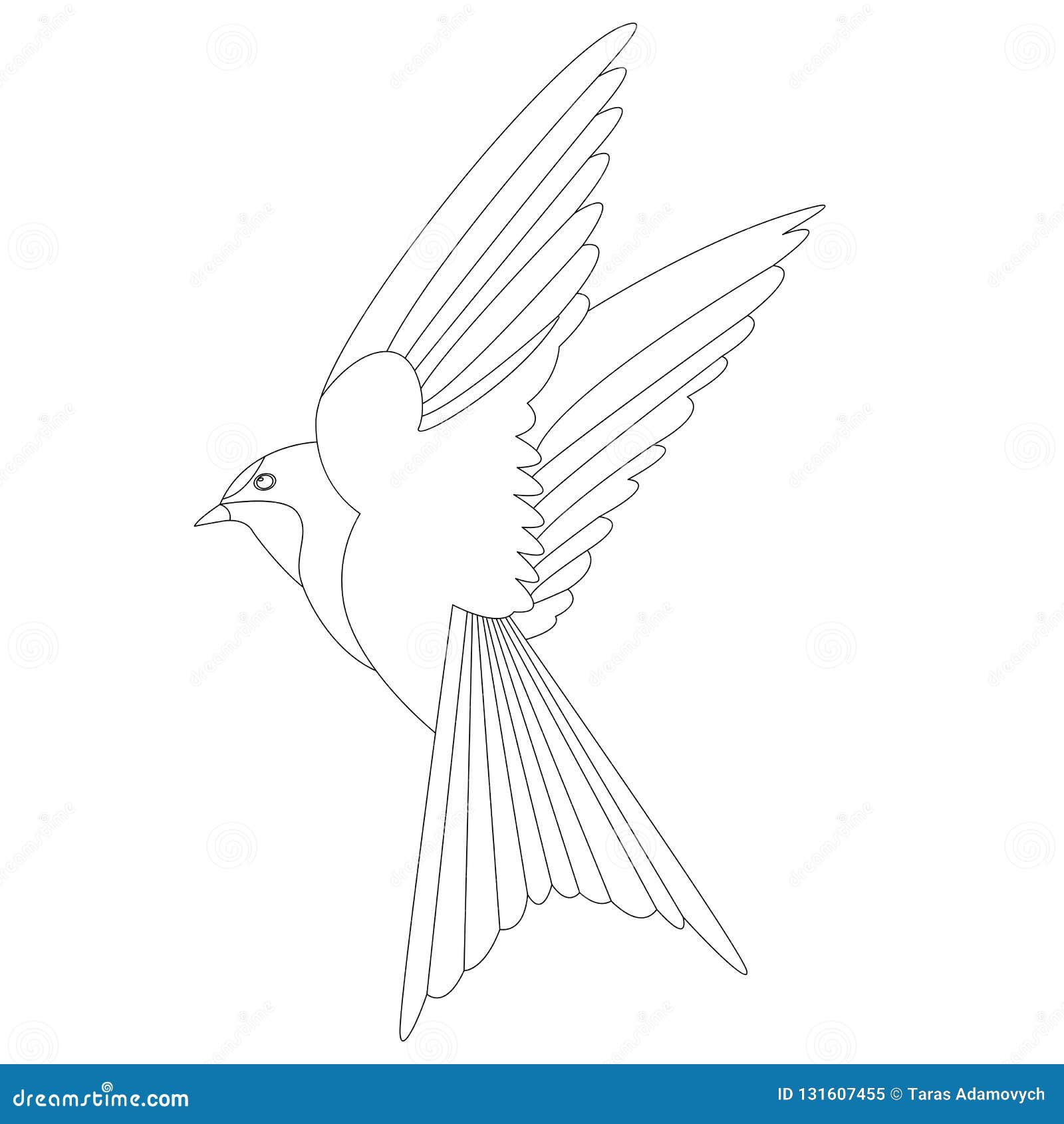 Bird Swallow Vector Illustration Lining Draw Stock Vector ...