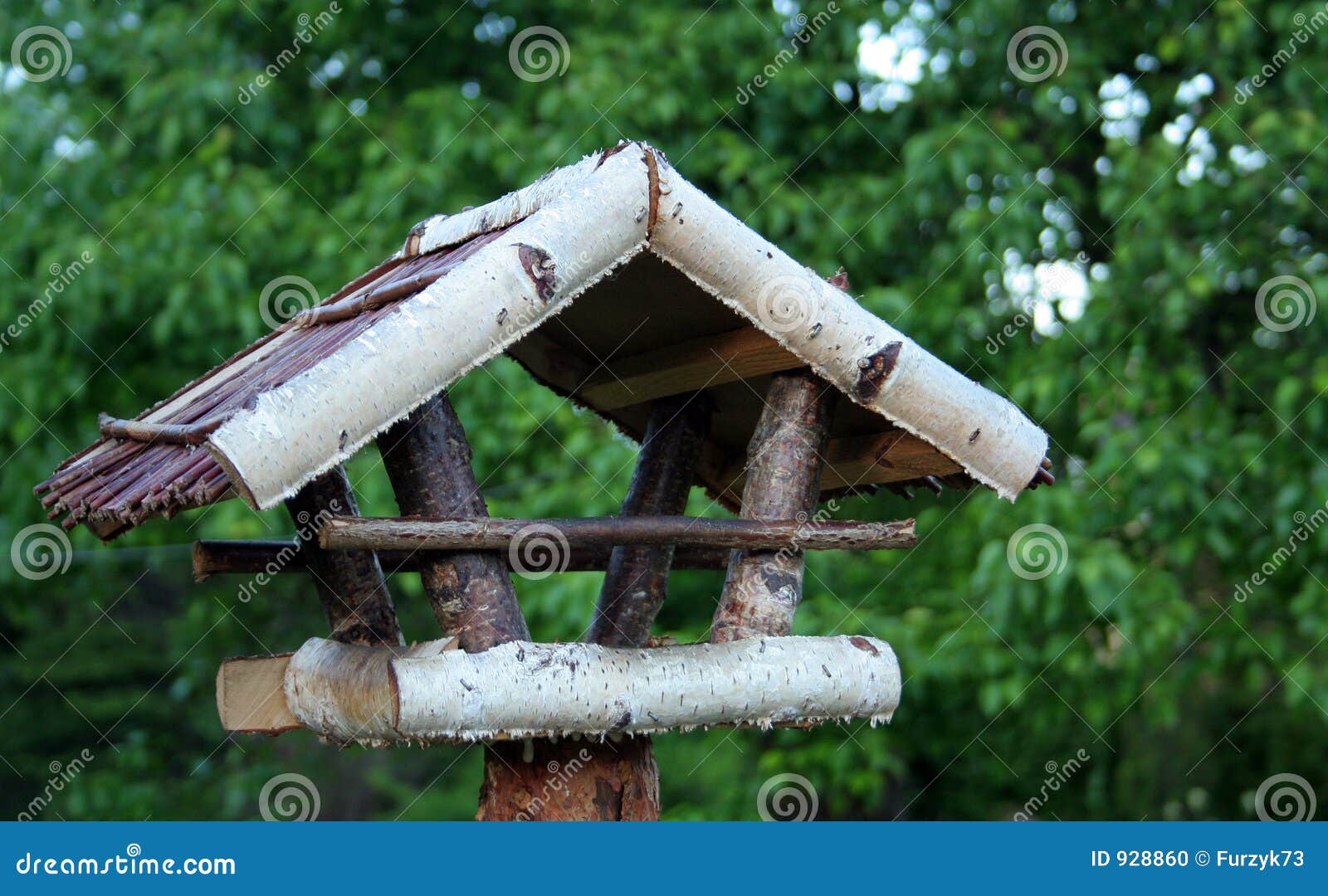 Bird table stock photo. Image of feeding, swallow, feeder - 928860