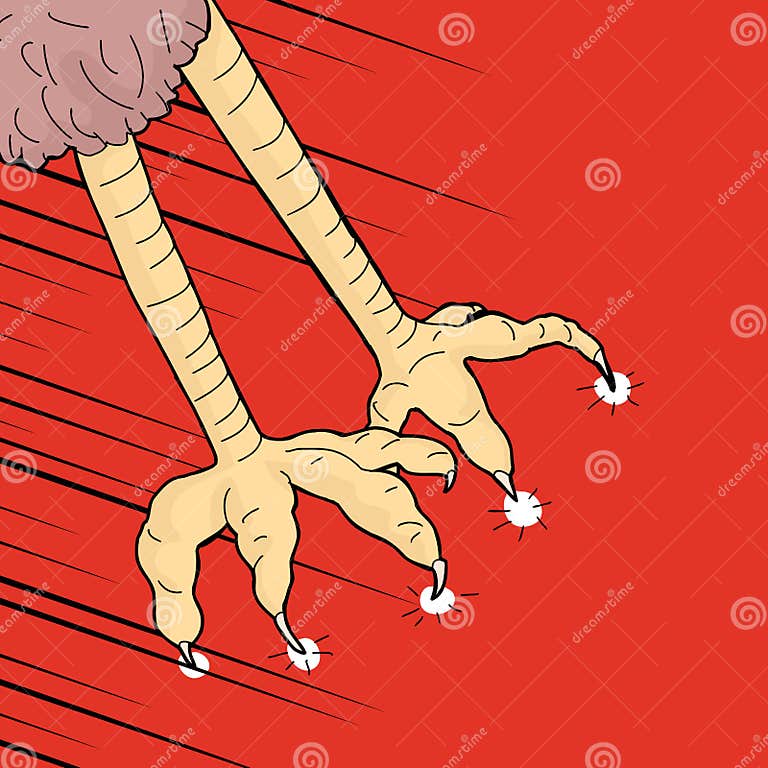 Bird Talons Over Red stock vector. Illustration of swooping - 47085912