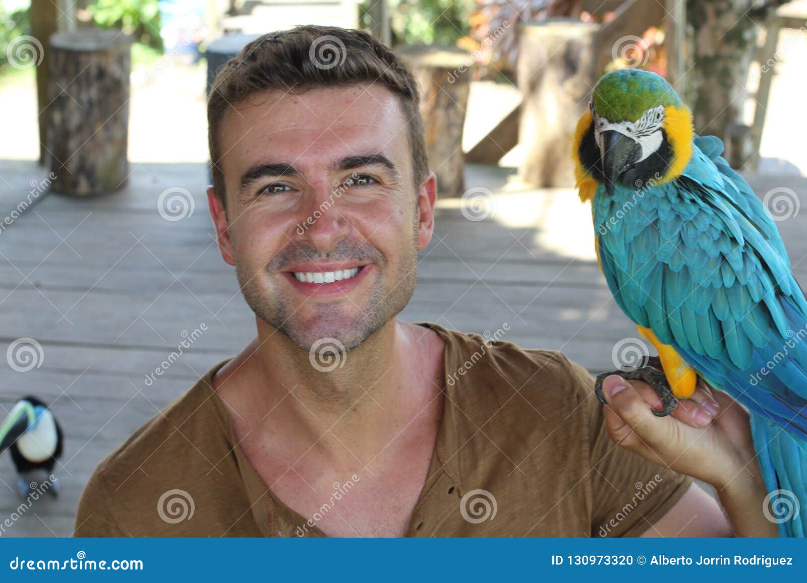 Bird Tamer Working with a Macaw Stock Photo - Image of domestic, house ...
