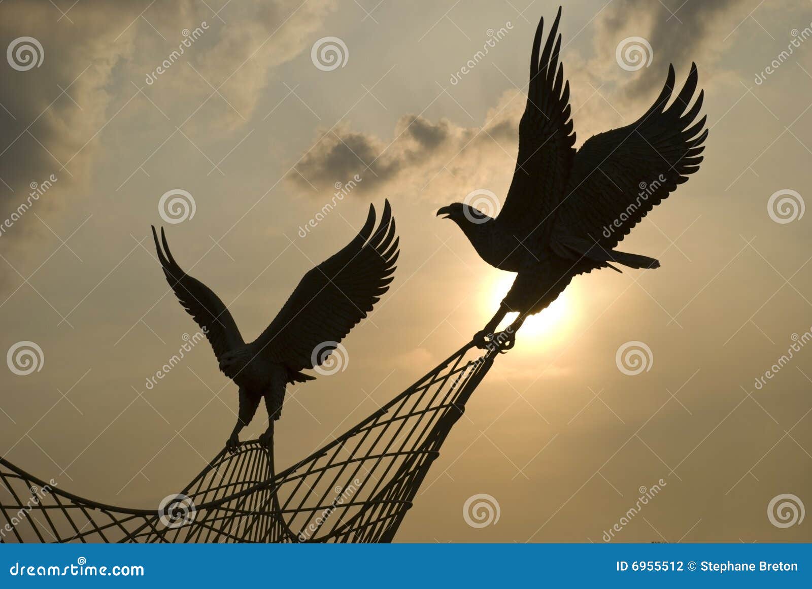Bird Team stock photo. Image of freedom, sunrise, assist - 6955512