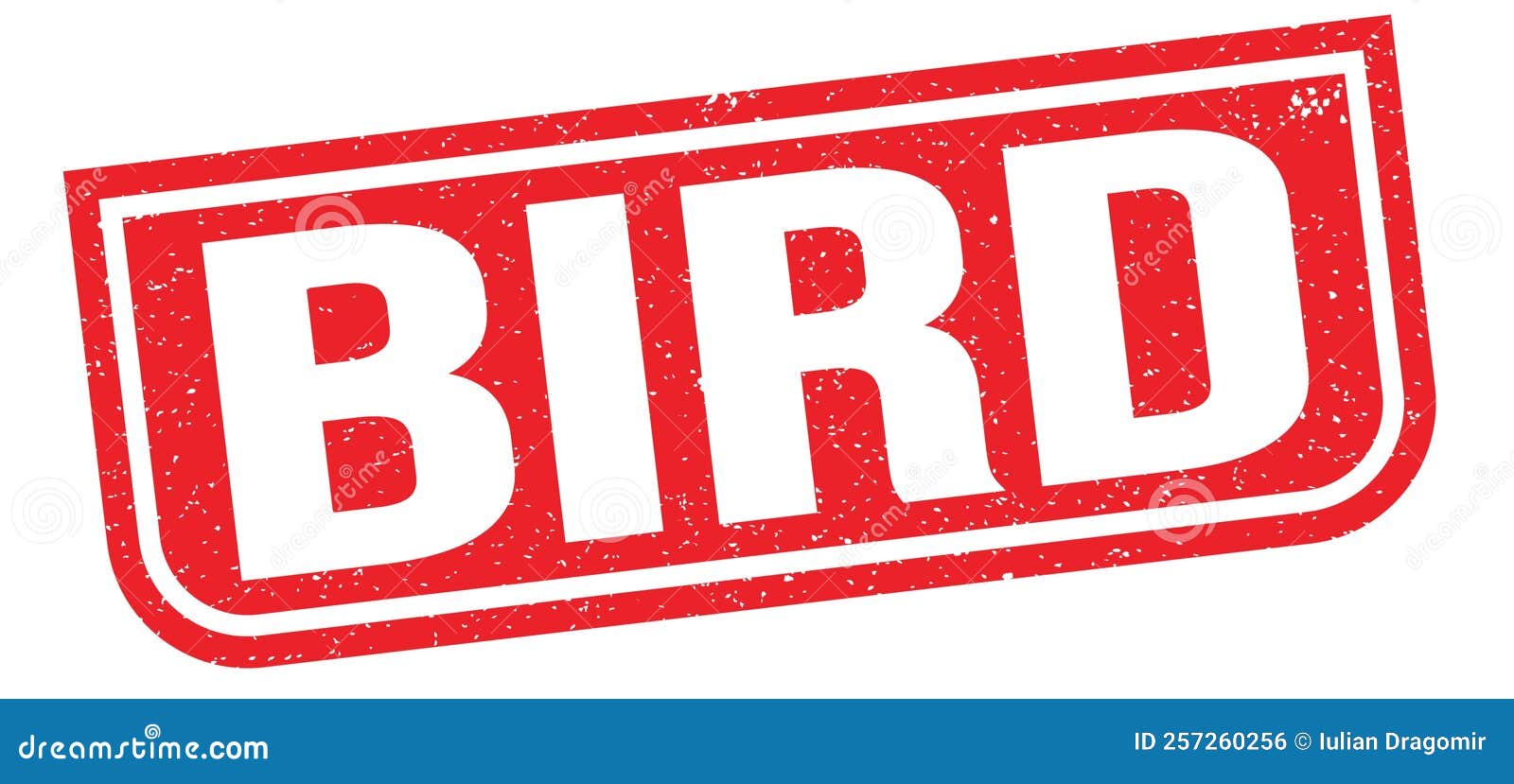 BIRD Text Written on Red Stamp Sign Stock Illustration - Illustration ...
