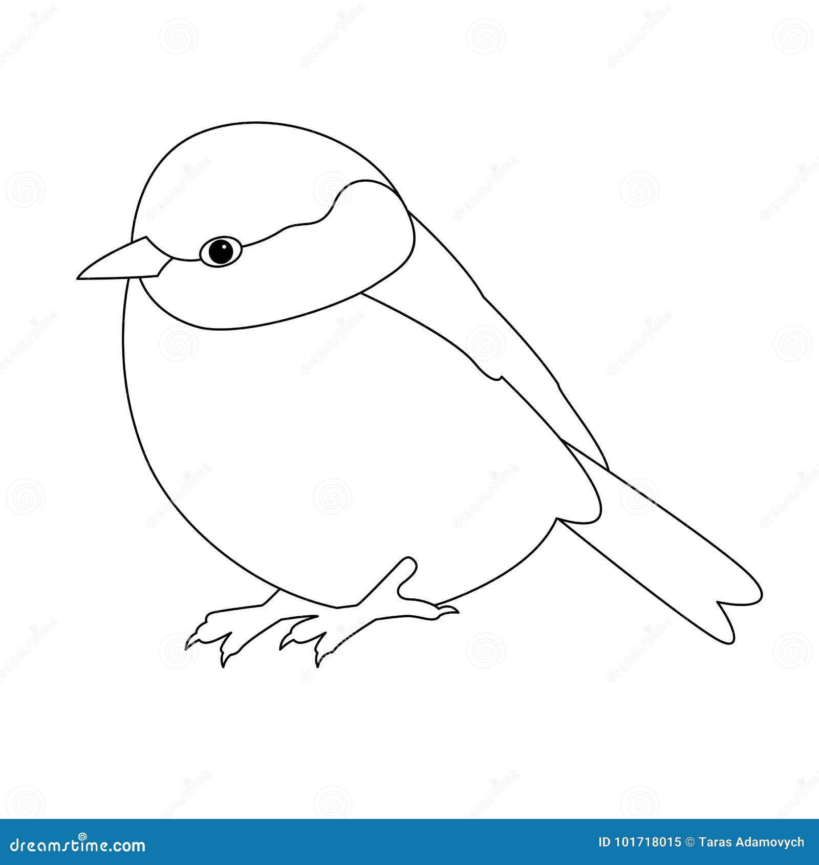 Bird Tit Vector Illustration Line Drawing Stock Vector - Illustration ... Bird Tit Vector Illustration Line Drawing Stock Vector - Illustration ...