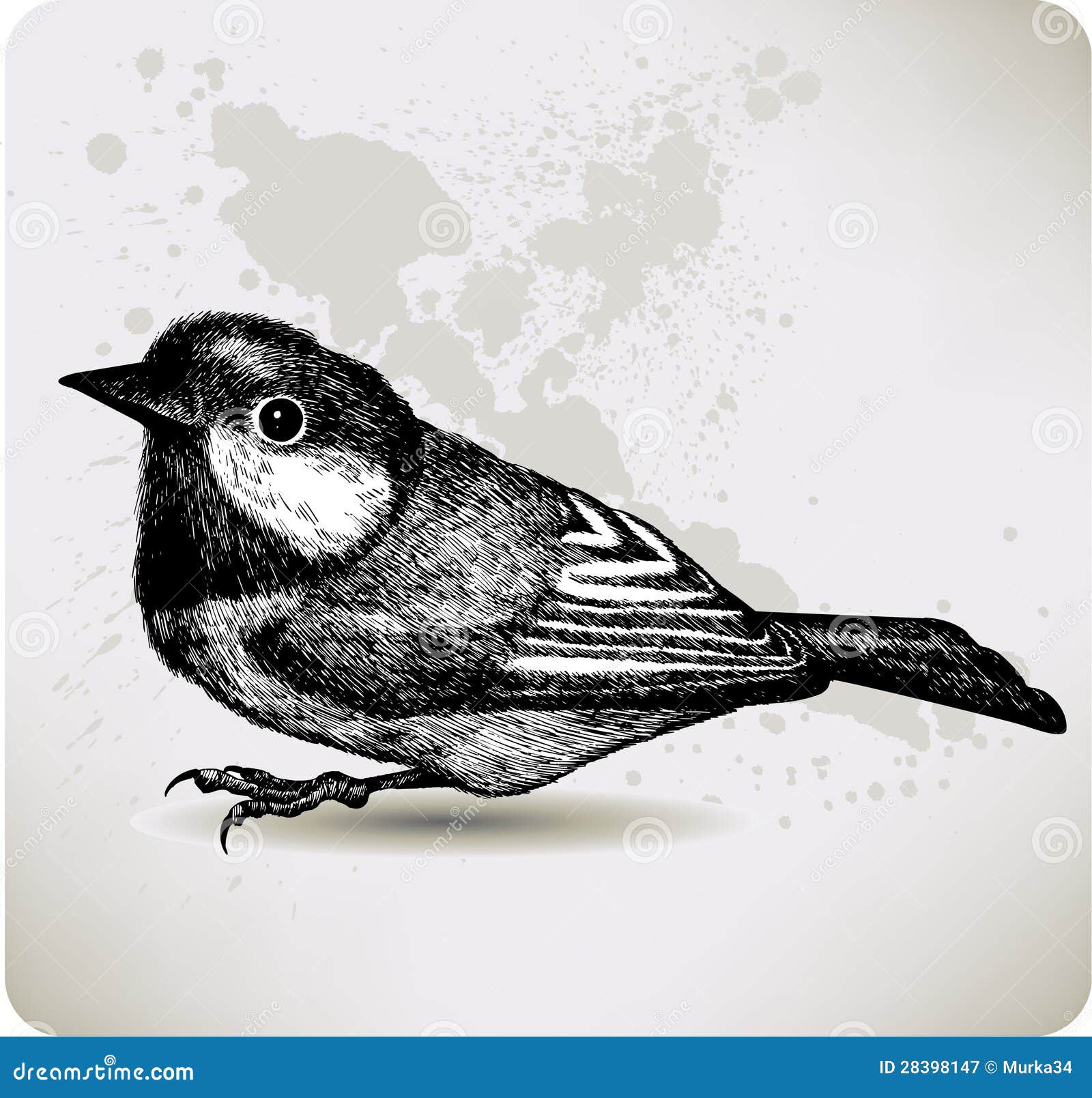 Bird Titmouse, Hand-drawing. Vector Illustration. Stock Vector ...