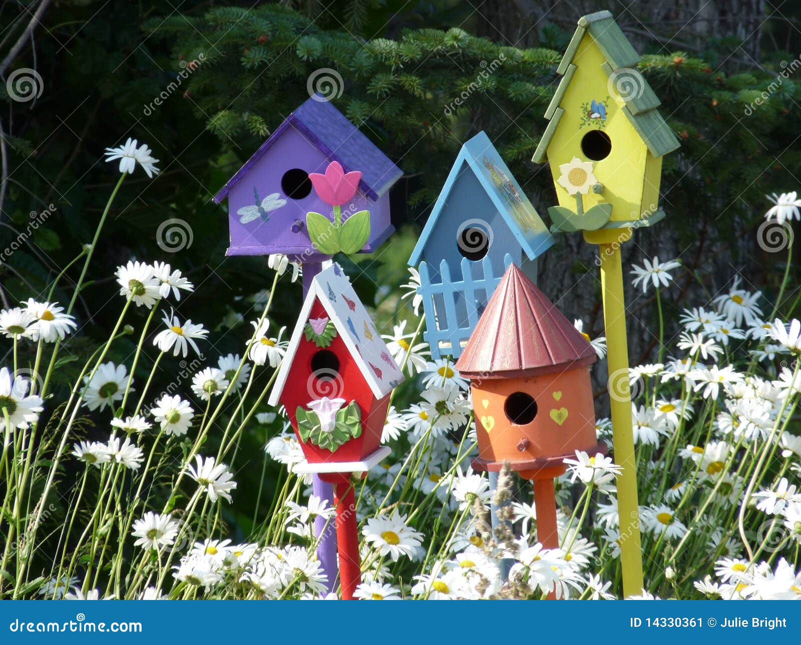Bird Town stock image. Image of habitat, birds, spring - 14330361