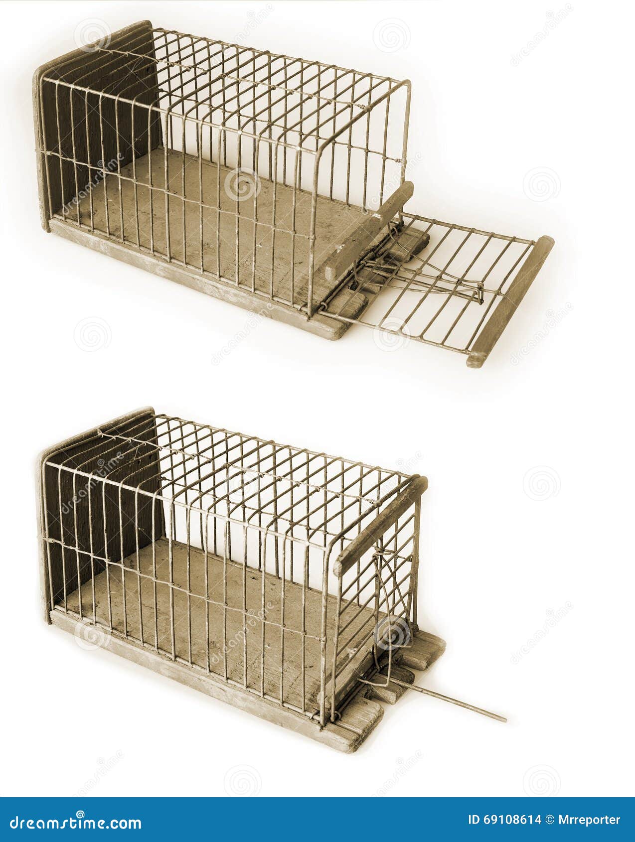 Bird-trap stock photo. Image of lattice, container, hunting - 69108614