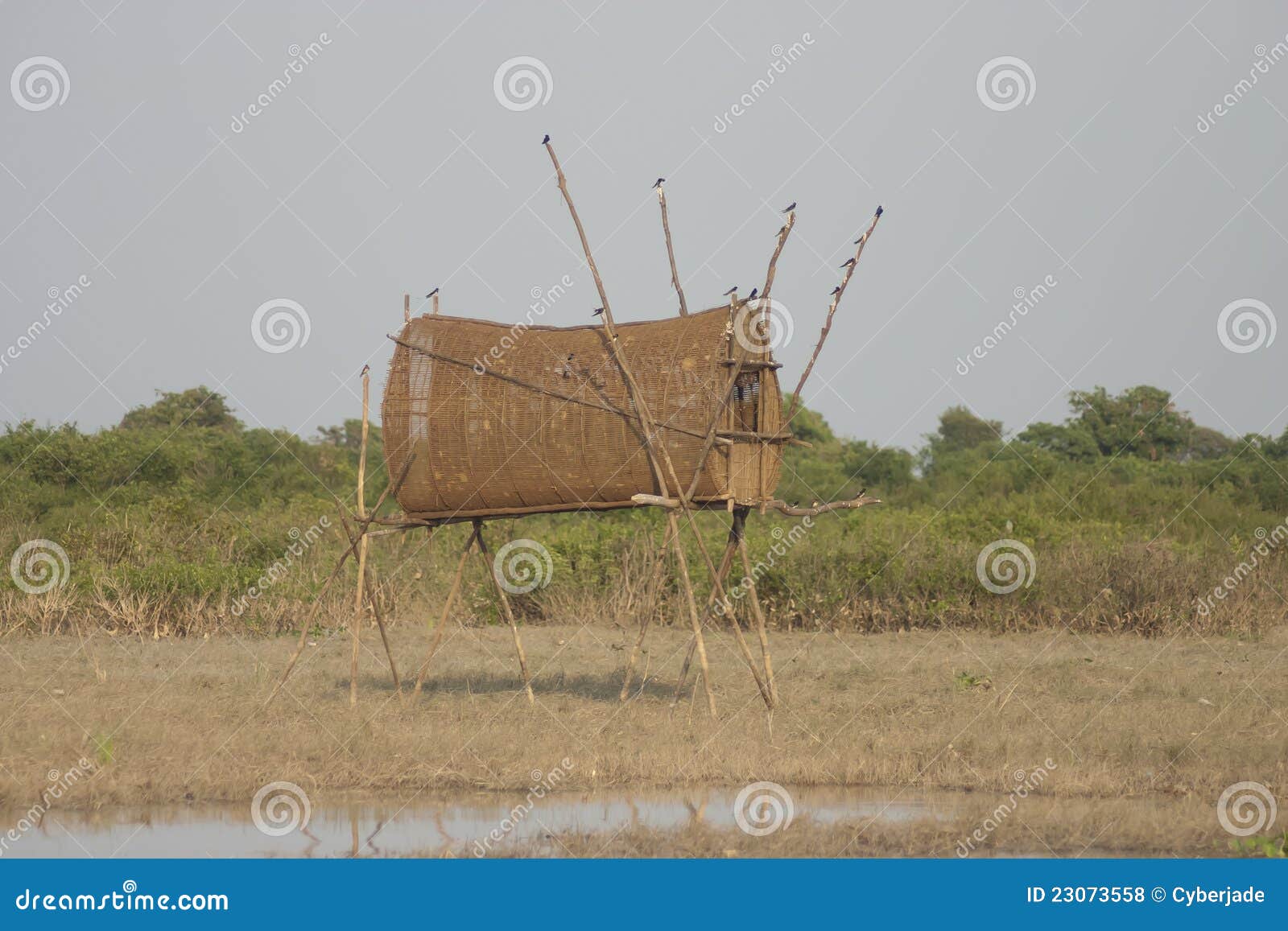 Bird Trap of Thai Traditional Style Stock Photo - Image of concept ...
