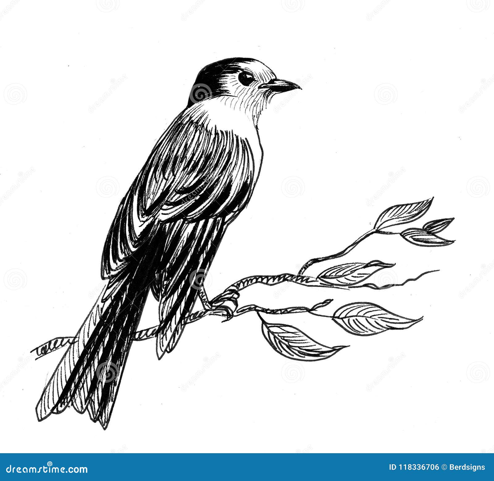 Bird on a tree stock illustration. Illustration of sketch - 118336706
