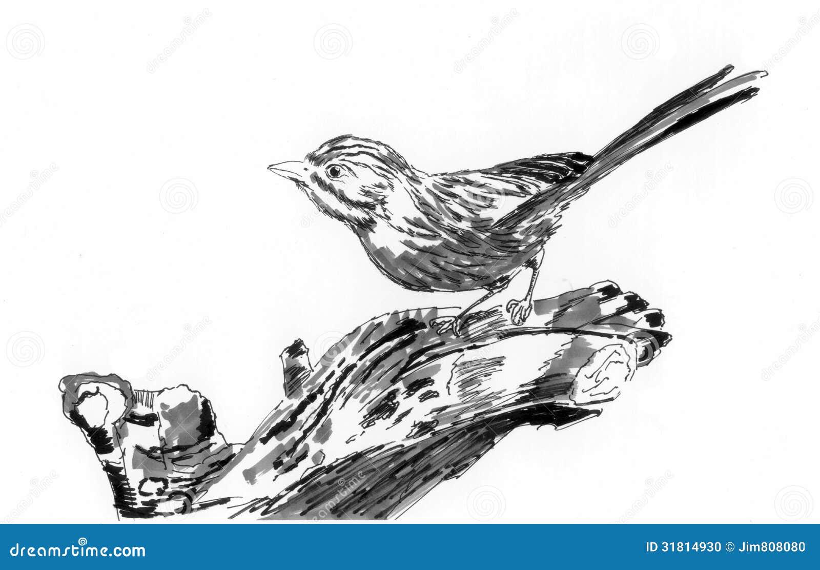 Bird on tree sketch stock illustration. Illustration of inspiration ...