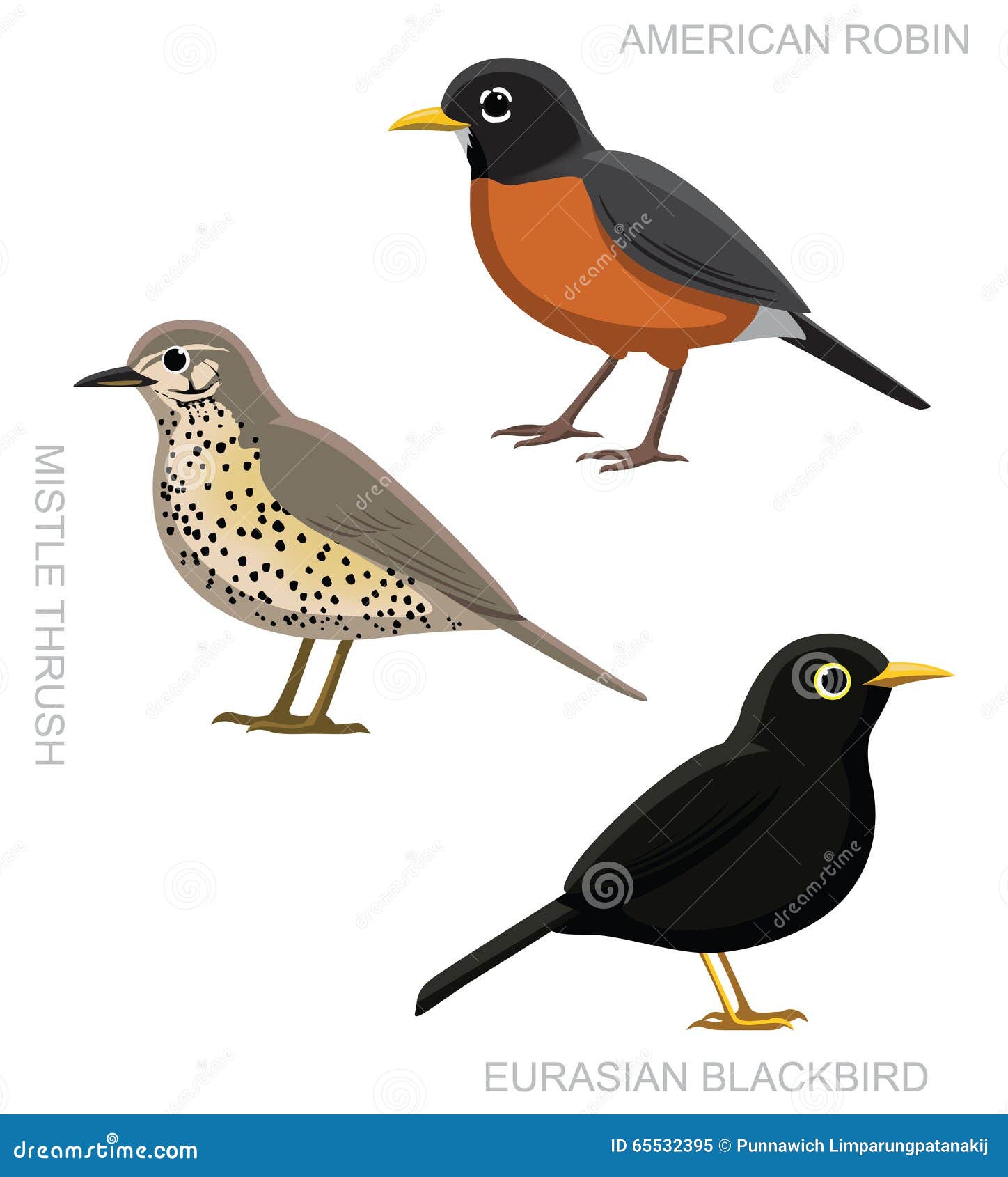 Bird True Thrush Set Cartoon Vector Illustration Stock Vector ...
