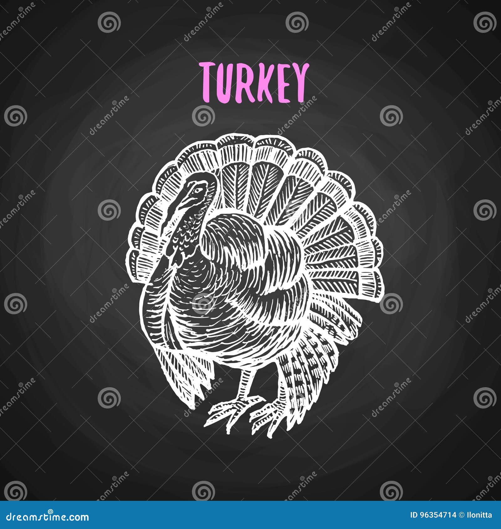 Bird Turkey in Chalk Style on Blackboard Stock Vector - Illustration of ...