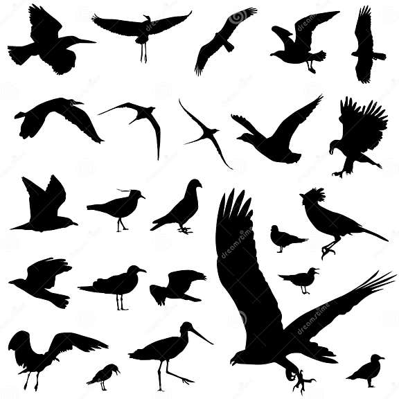 Bird vector stock vector. Illustration of high, christ - 9259821