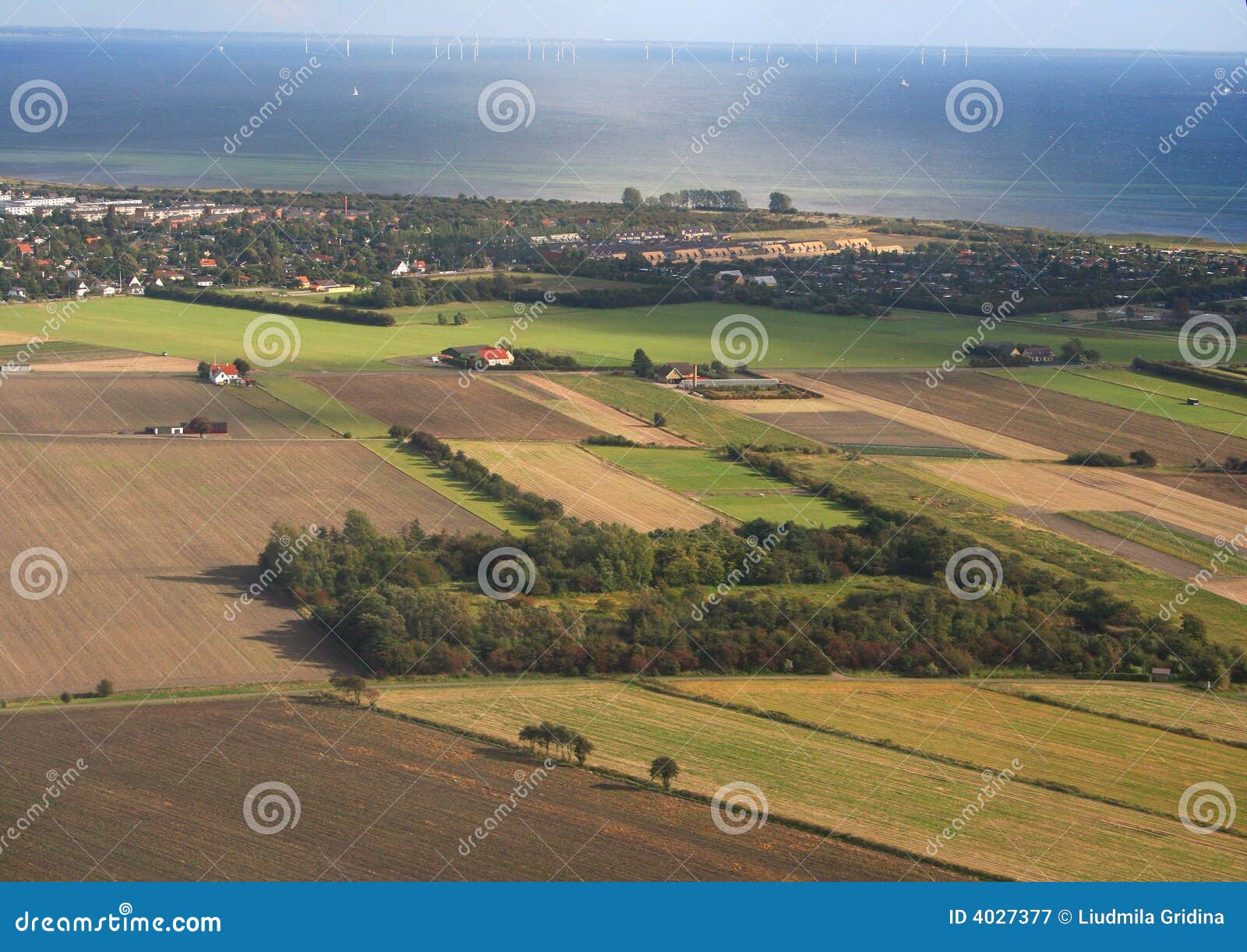 Bird view stock image. Image of green, field, horizontal - 4027377
