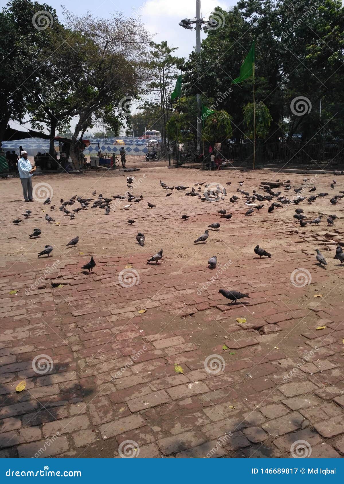 Bird View in a Dargah in Kolkata Editorial Photography - Image of ...