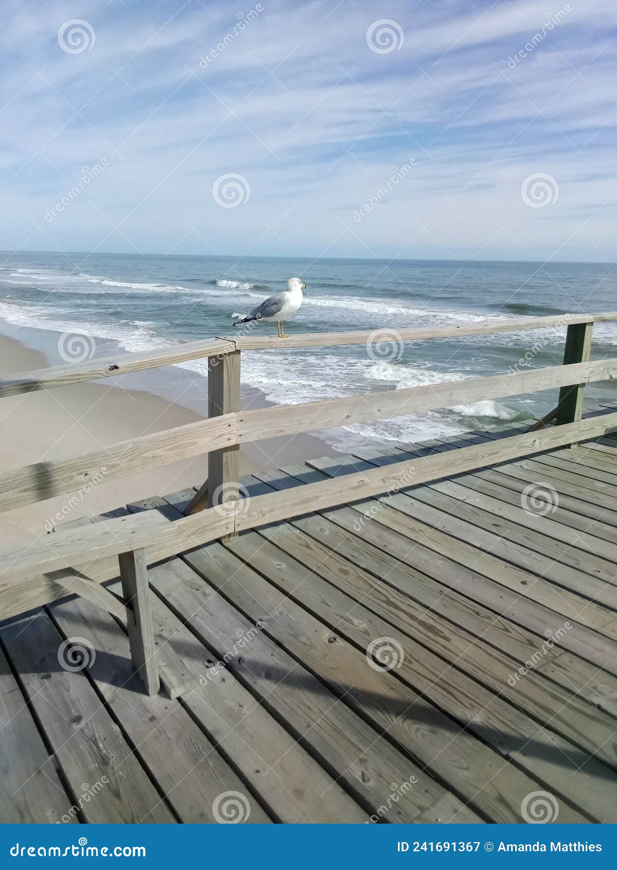 Bird watch on the beach stock image. Image of pier, watch - 241691367