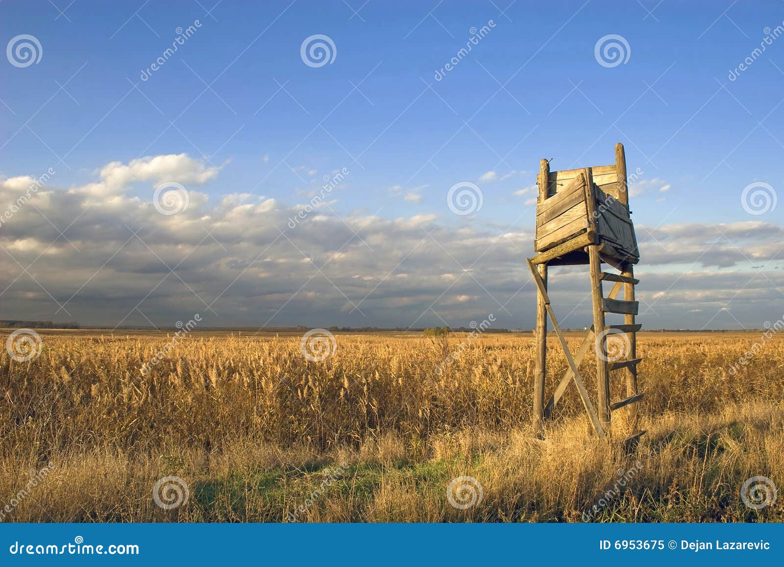 602 Bird Watch Tower Stock Photos - Free & Royalty-Free Stock Photos ...