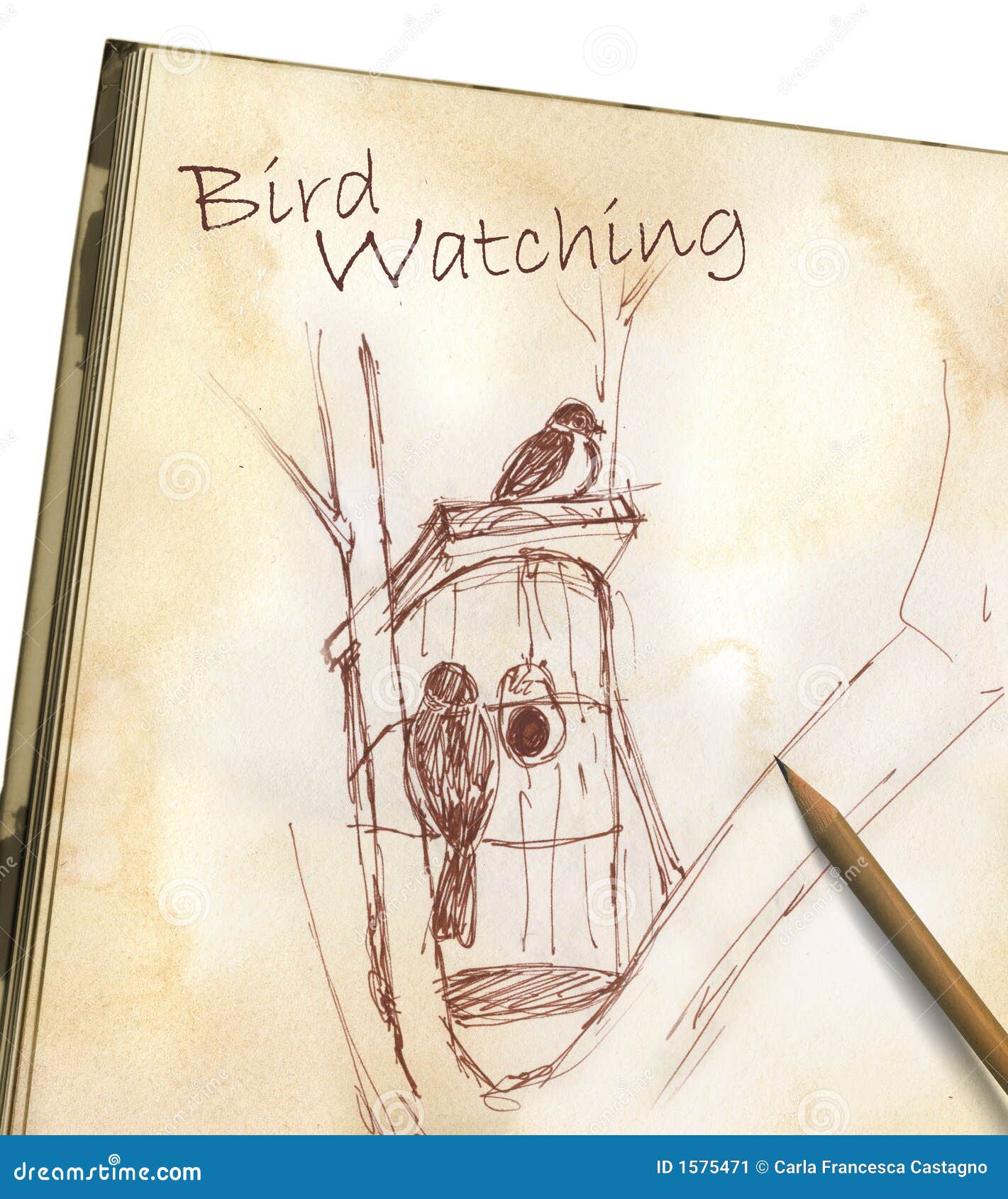 Bird Watching - Drawing On Sketchpad Royalty-Free Stock Photo ...