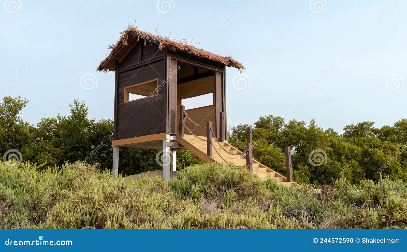 Bird Watching Hut in the Al Khor Thakira Jungle Stock Photo - Image of ...