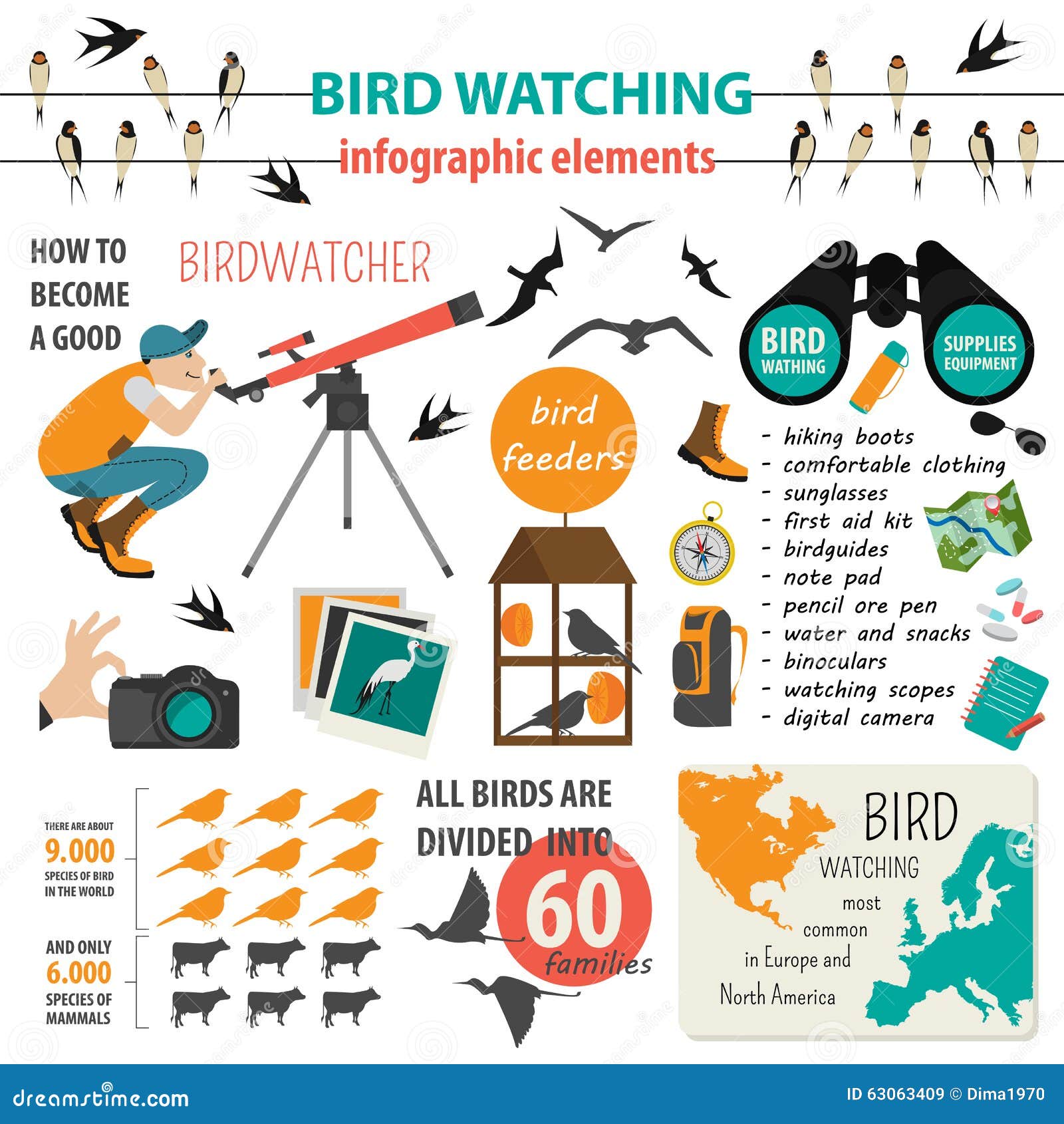 Bird Watching Infographic Template Stock Vector - Illustration of bird ...