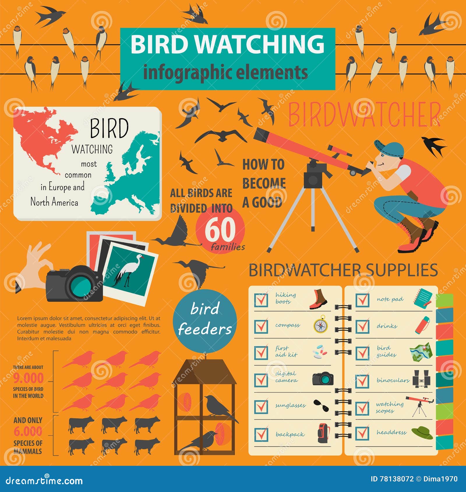 Bird Watching Infographic Template Stock Vector - Illustration of crane ...