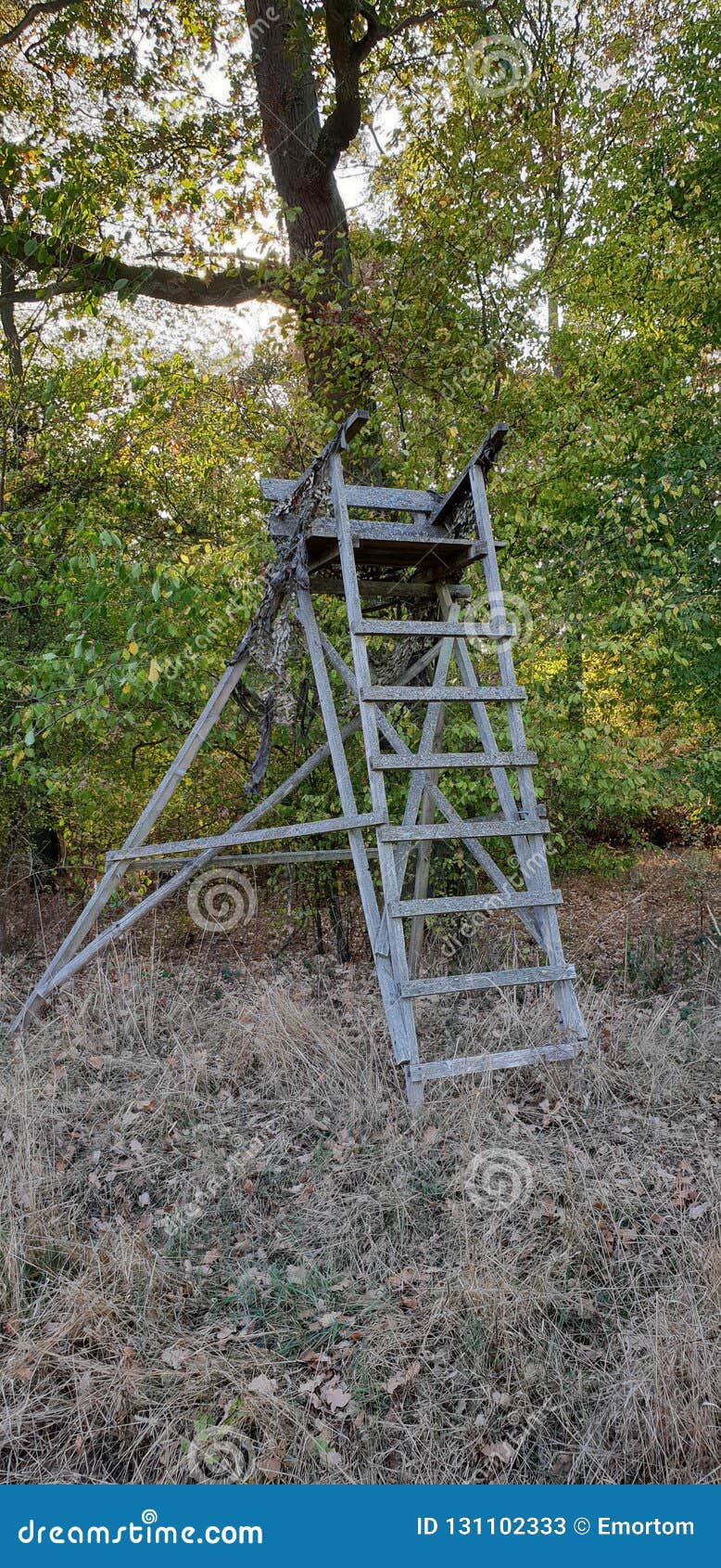 Bird watching seat stock image. Image of watching, seat - 131102333