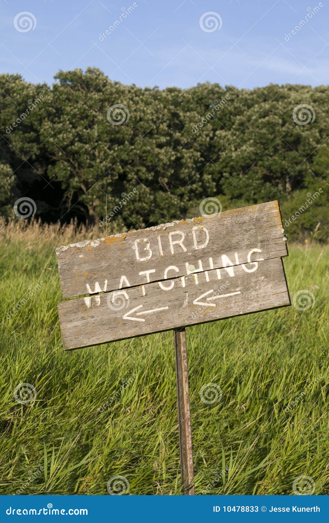 Bird Watching Sign stock image. Image of bird, green - 10478833