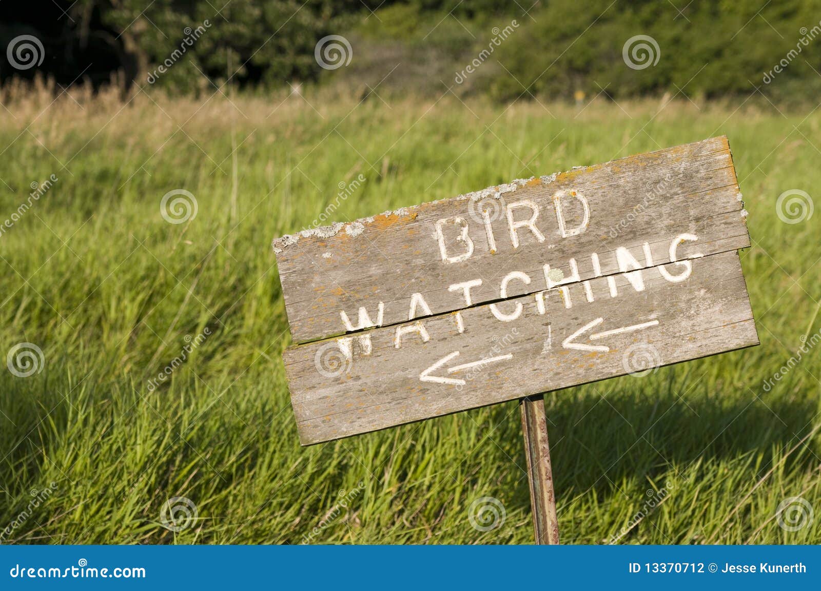 Bird Watching Sign stock photo. Image of trees, summer - 13370712