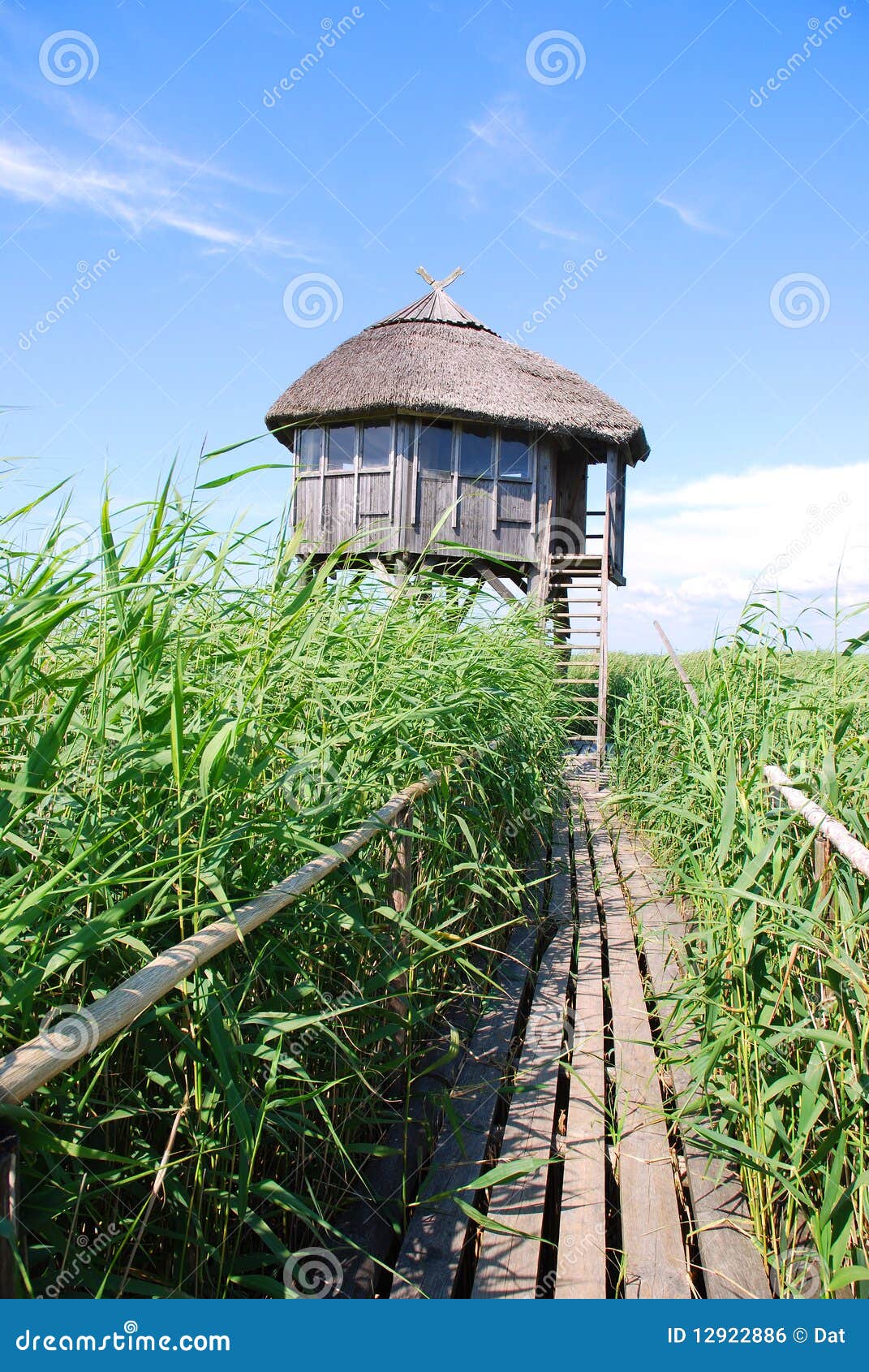 Bird watching tower stock photo. Image of cloudscape - 12922886