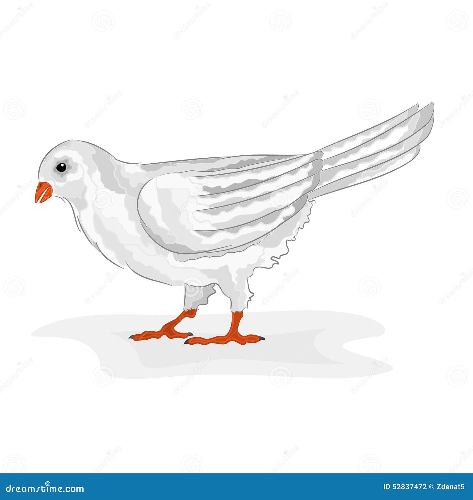 Bird white pigeon vector stock vector. Illustration of color - 52837472