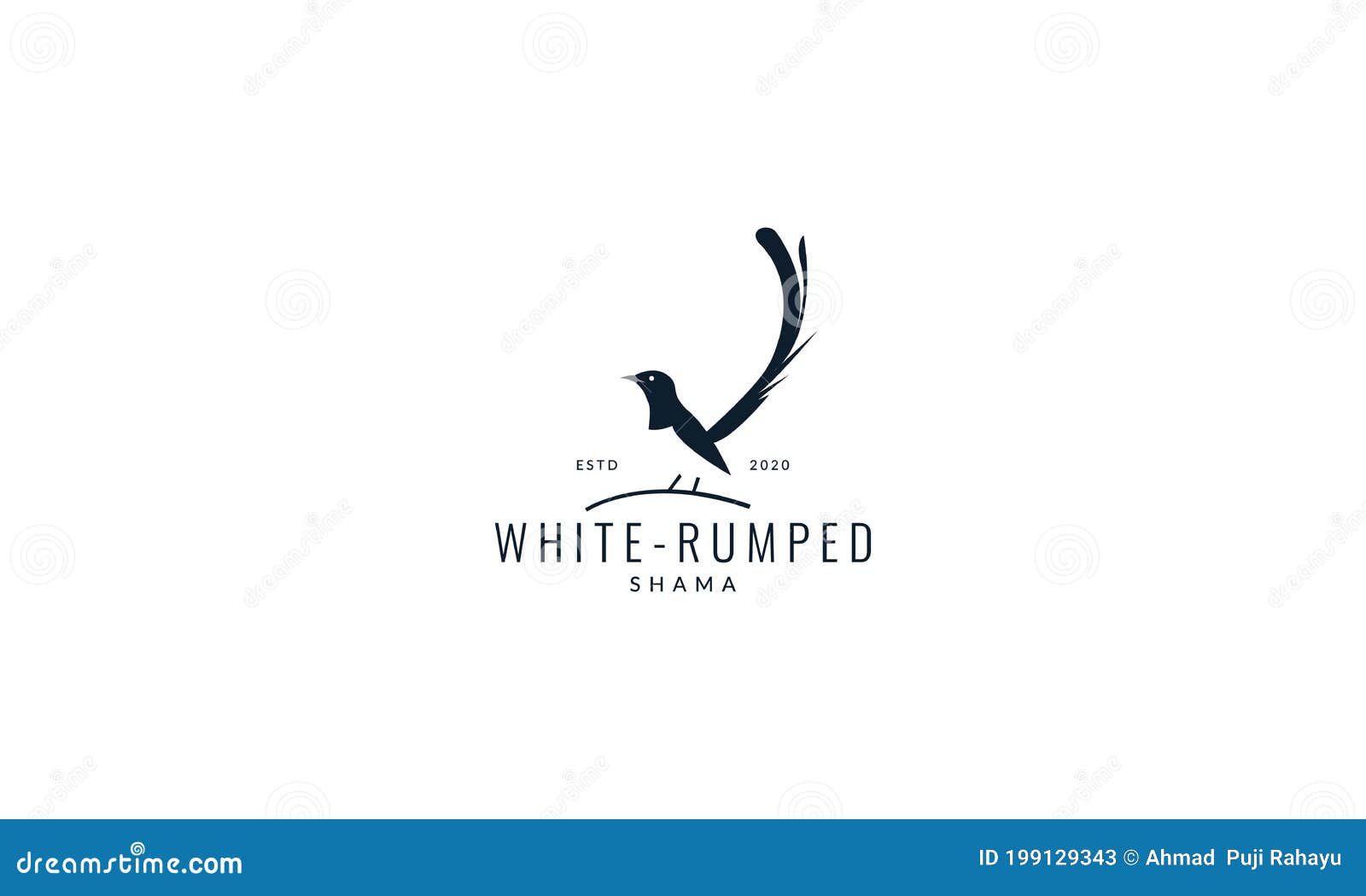 Bird White Rumped Shama Vector Stock Vector - Illustration of vector ...