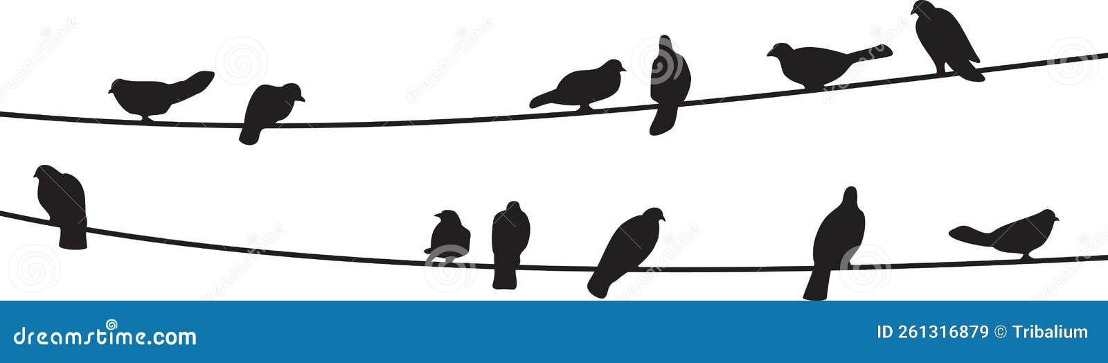 Bird on Wire Black Vector stock vector. Illustration of icon - 261316879