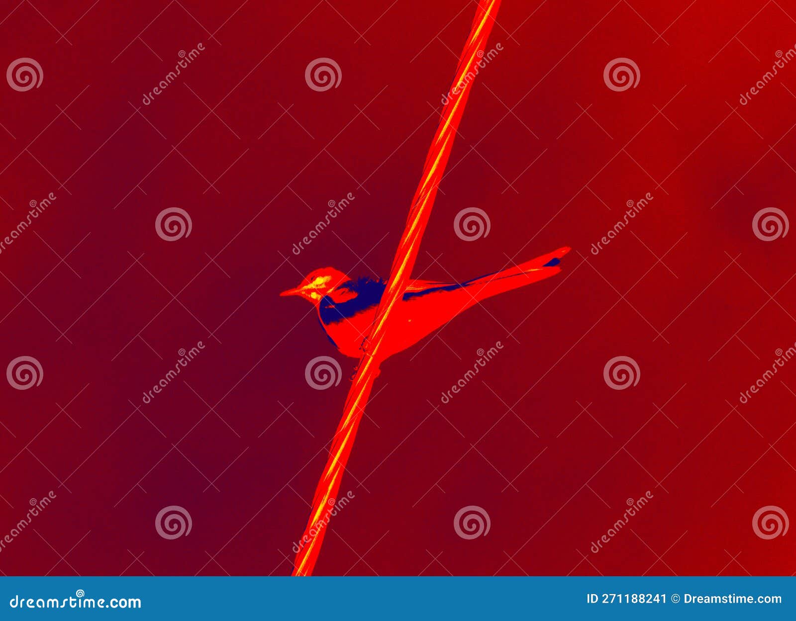 Bird on a wire infrared stock image. Image of little - 271188241