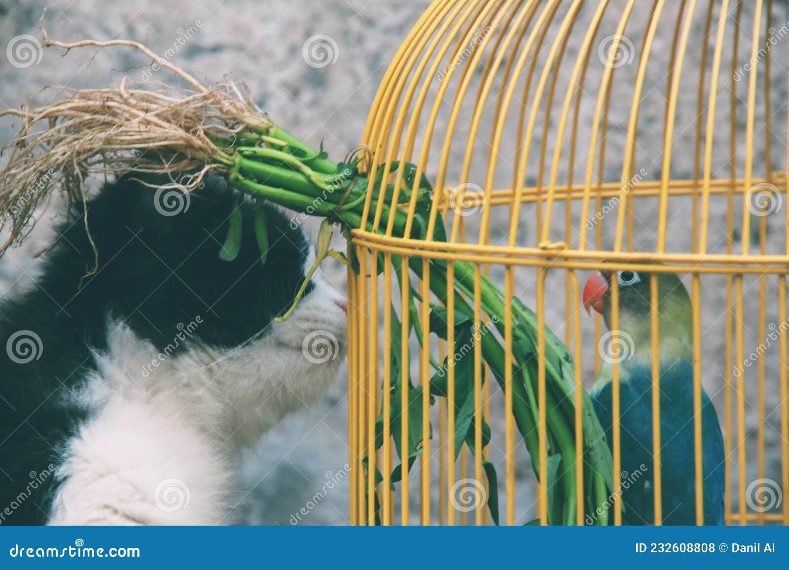 Bird in a yellow cage stock photo. Image of bird, nature - 232608808