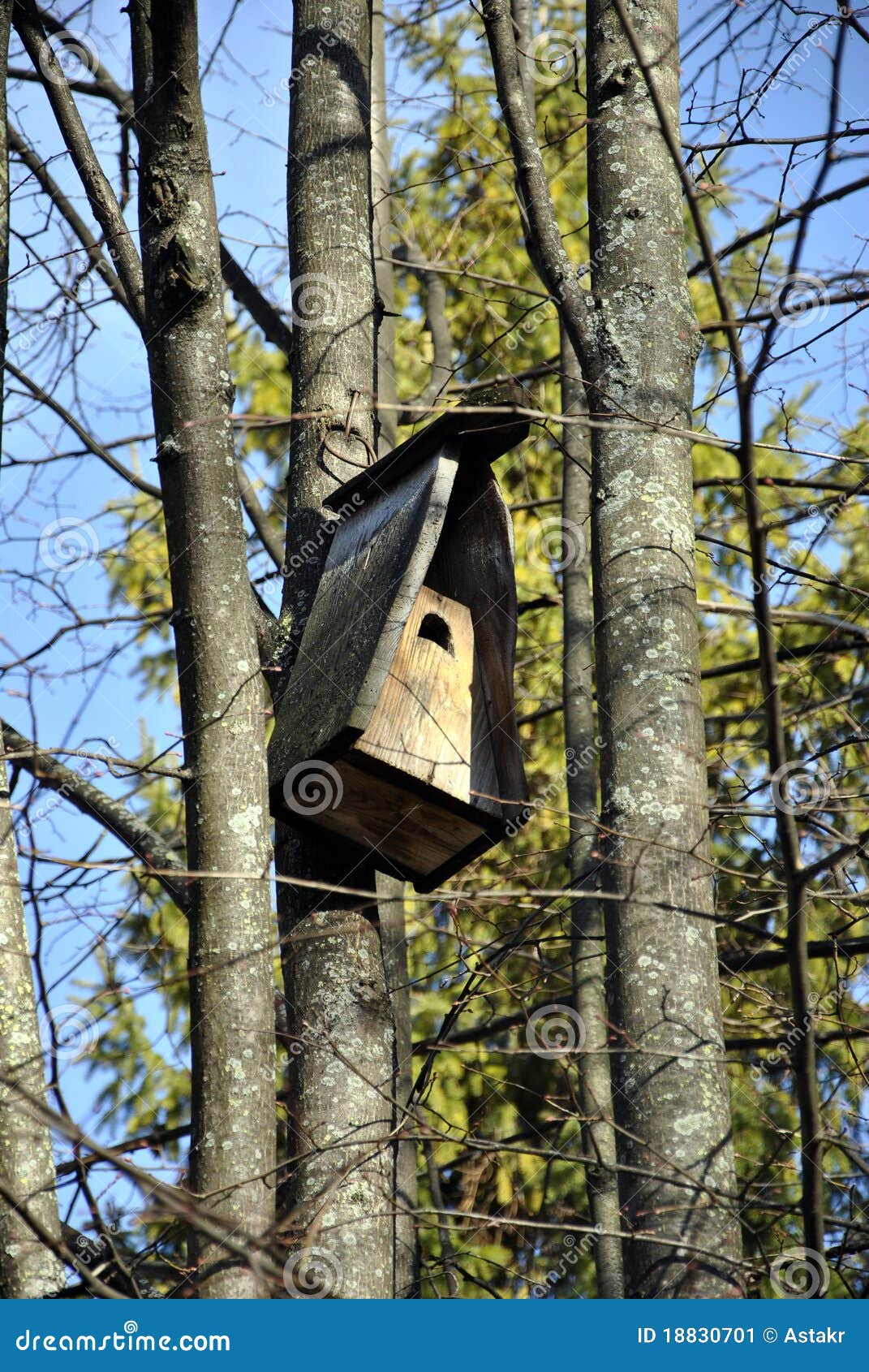 Birdhouse stock image. Image of tree, bird, table, blue - 18830701